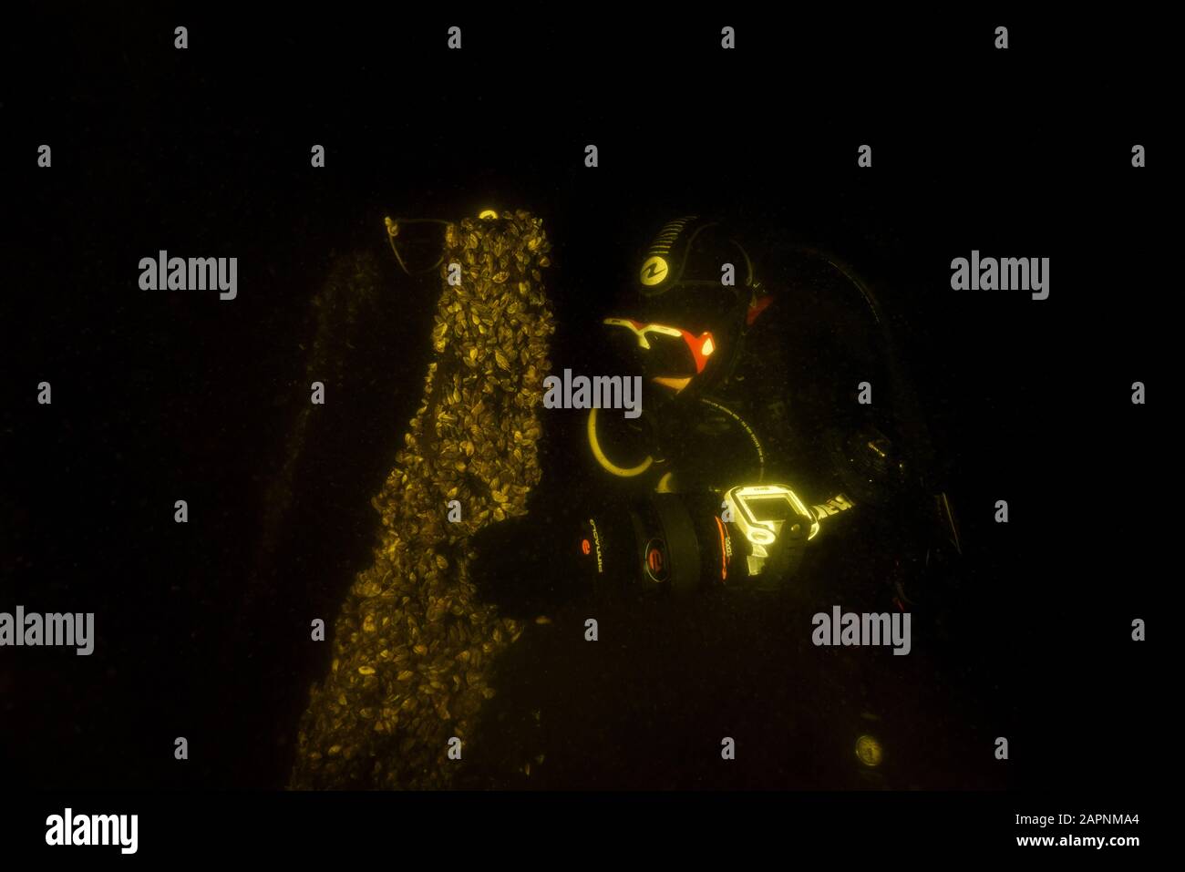 Cossack boat hi-res stock photography and images - Alamy