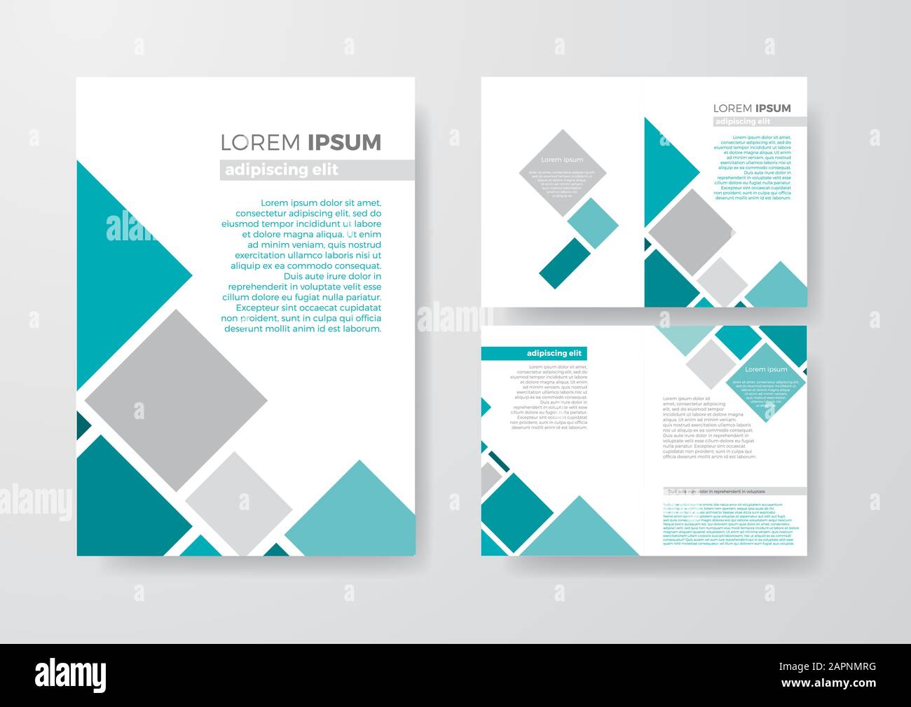 Vector flyer template design. For business brochure or leaflet. Blue ...