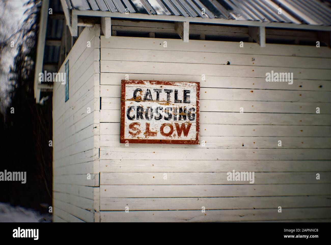 Cattle x ing sign hi-res stock photography and images - Alamy