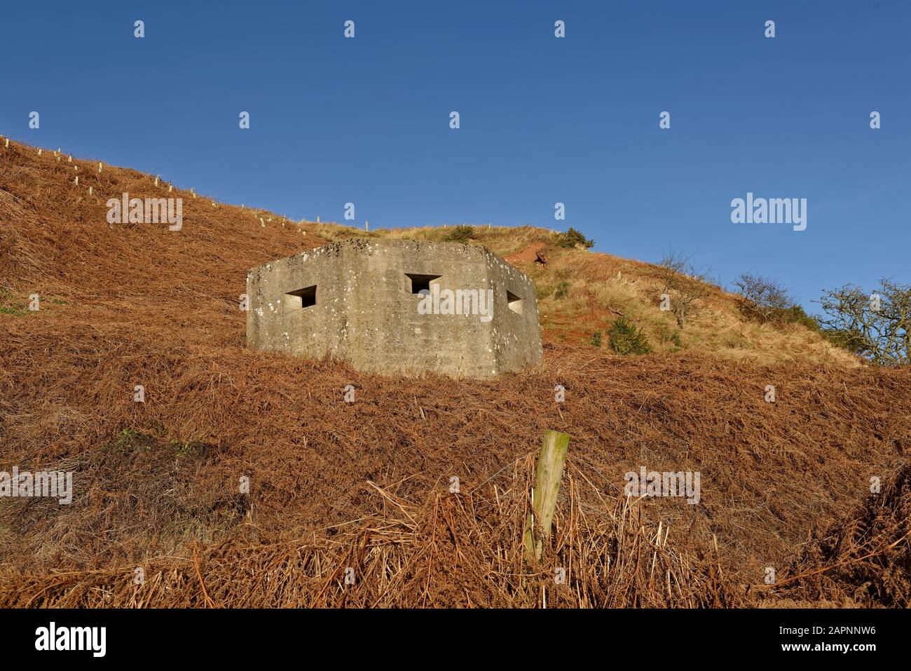 A well preserved old concrete Wartime Coastal Bunker set up on the ...