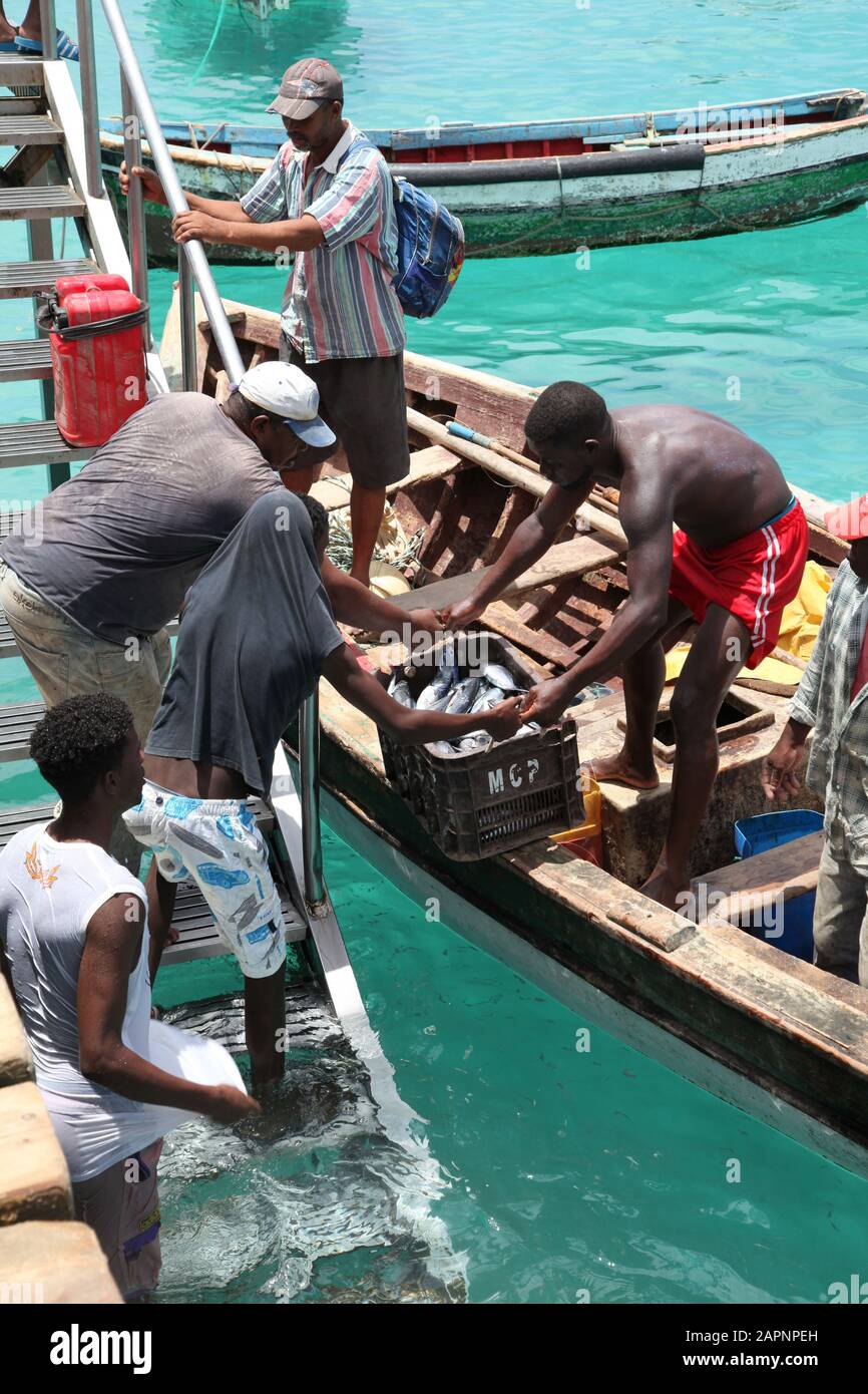 Fishermen landing the catch on the pier at the fish market in Santa ...