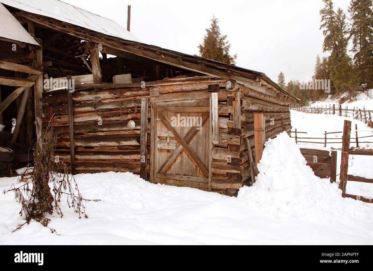 A wooden door on an old log barn on a cattle farm, along Killbrenan ...