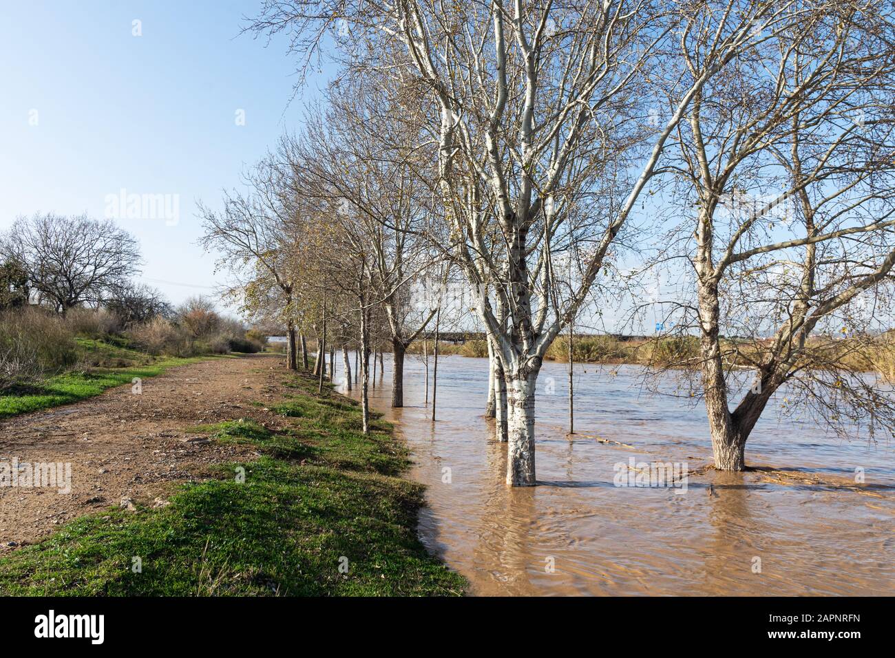 Flooded river, floods in the city, climate change, natural disaster ...