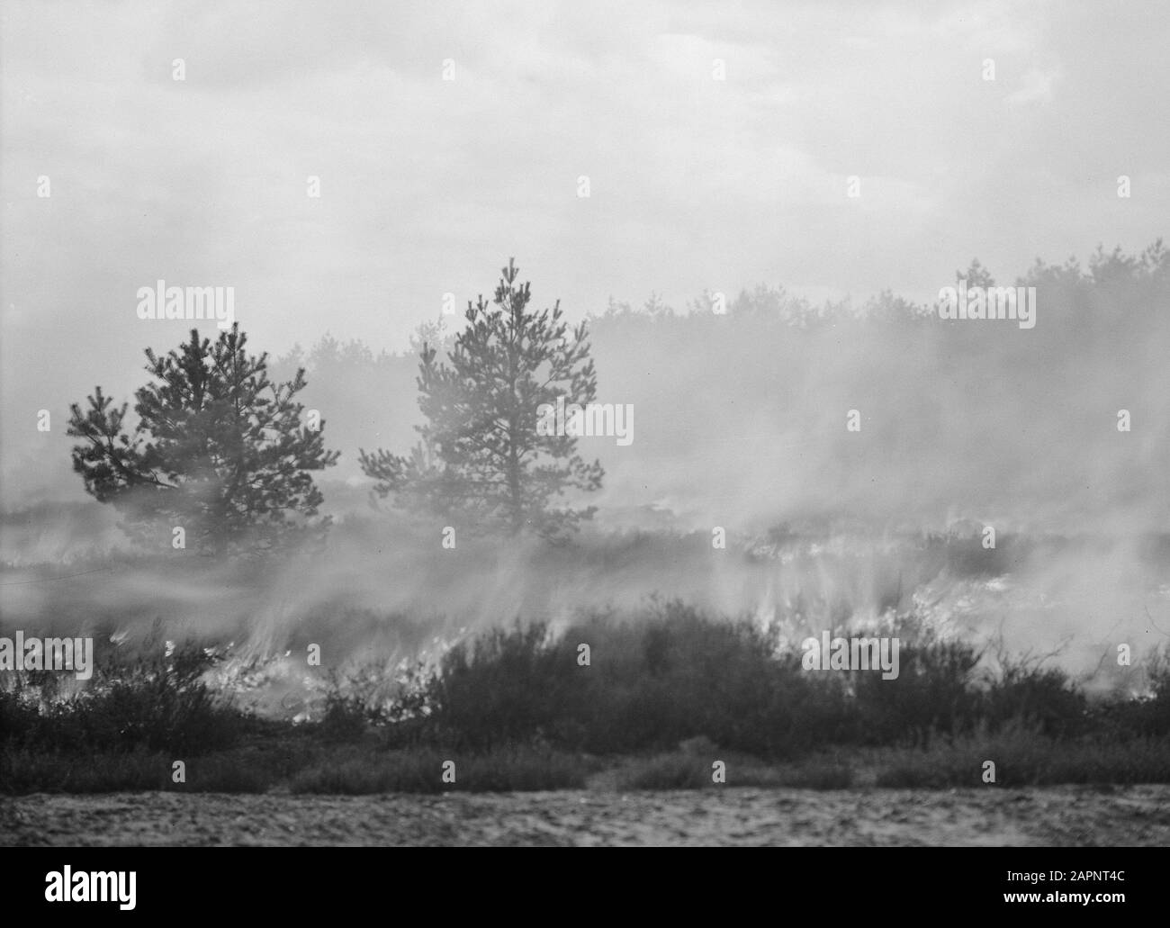 landscapes, fires Date: undated Keywords: fires, landscapes Stock Photo ...