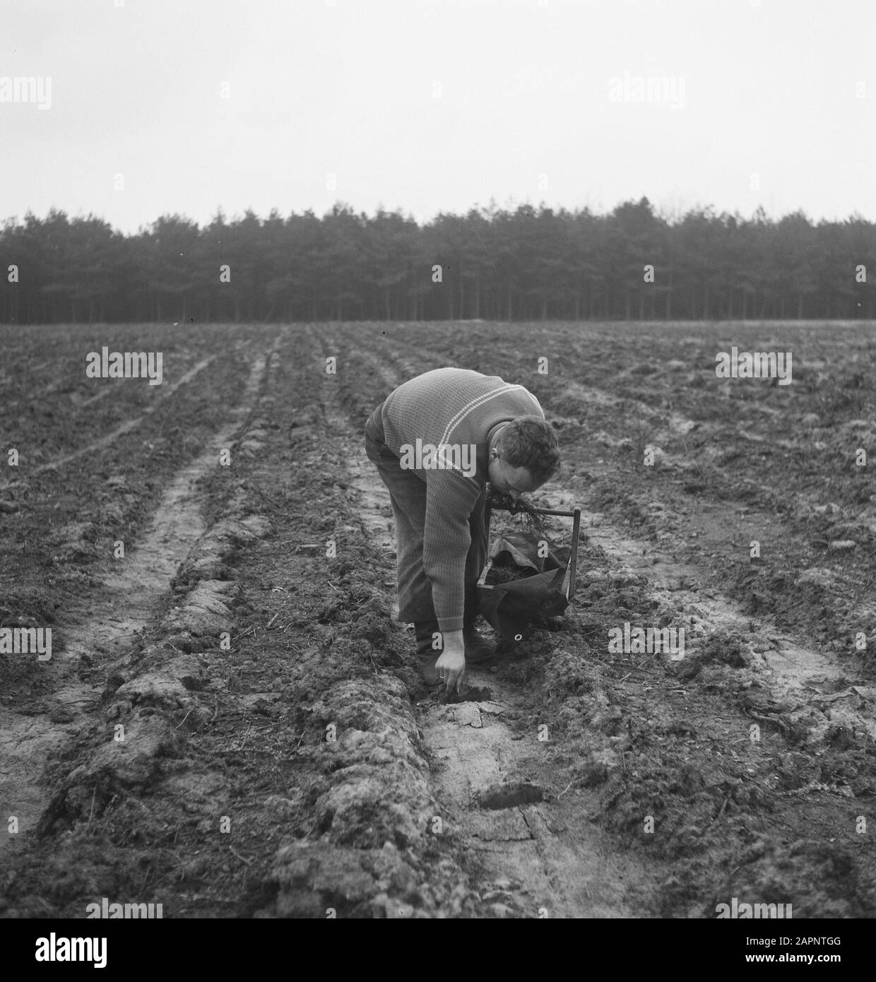 agricultural land, workers, planting work Date: undated Keywords ...