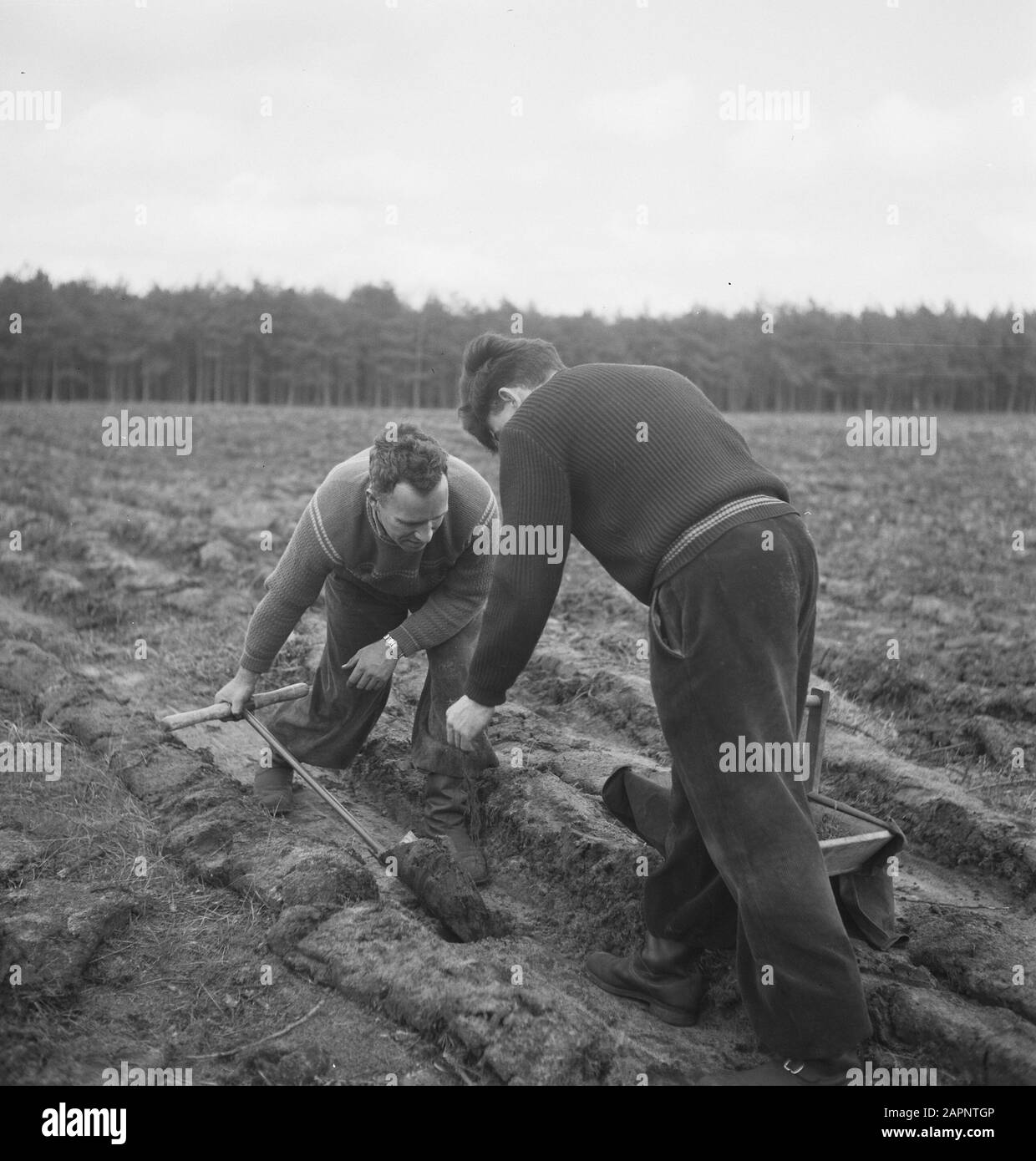 agricultural land, workers, planting work Date: undated Keywords ...