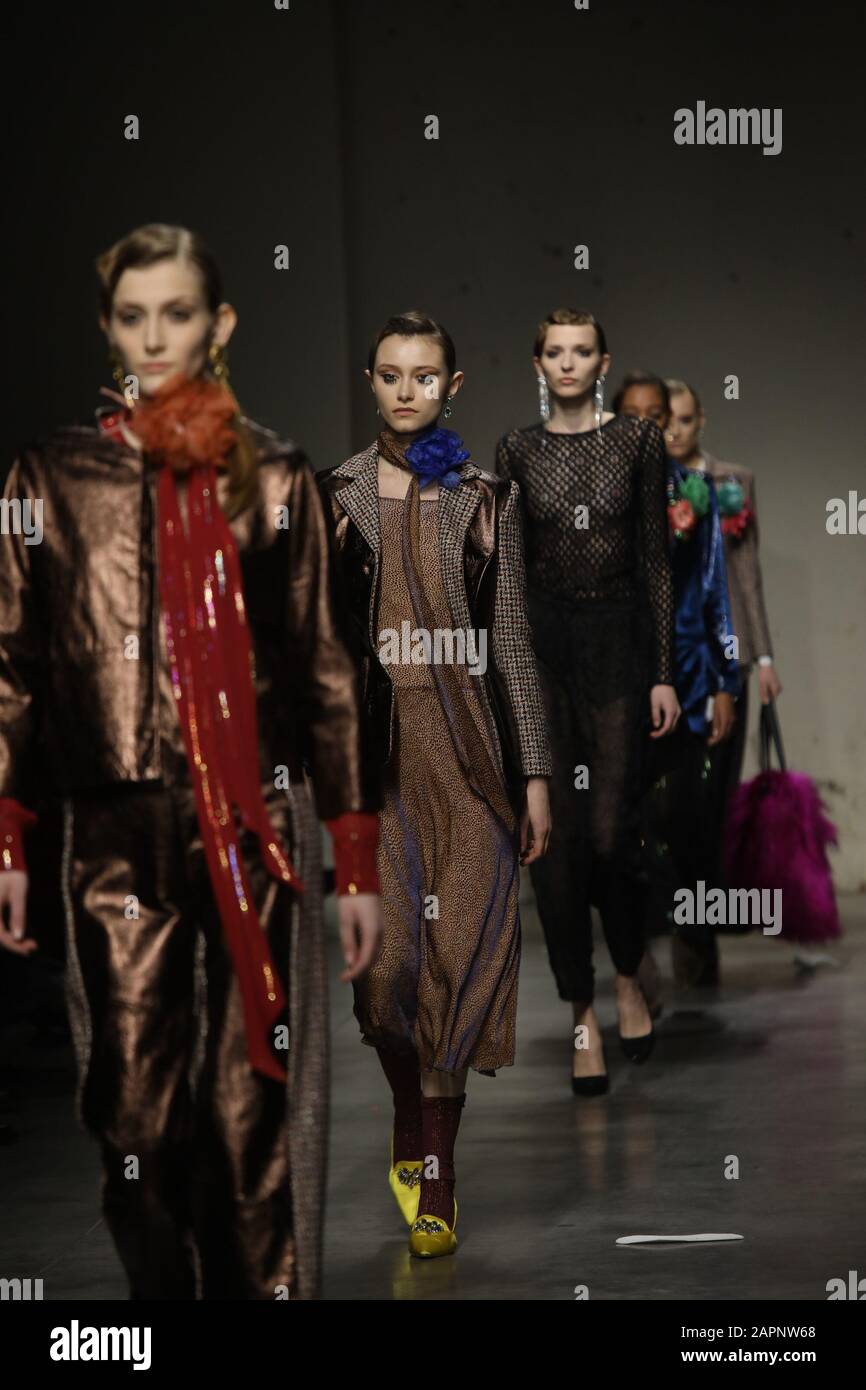 Morfosis hi-res stock photography and images - Alamy