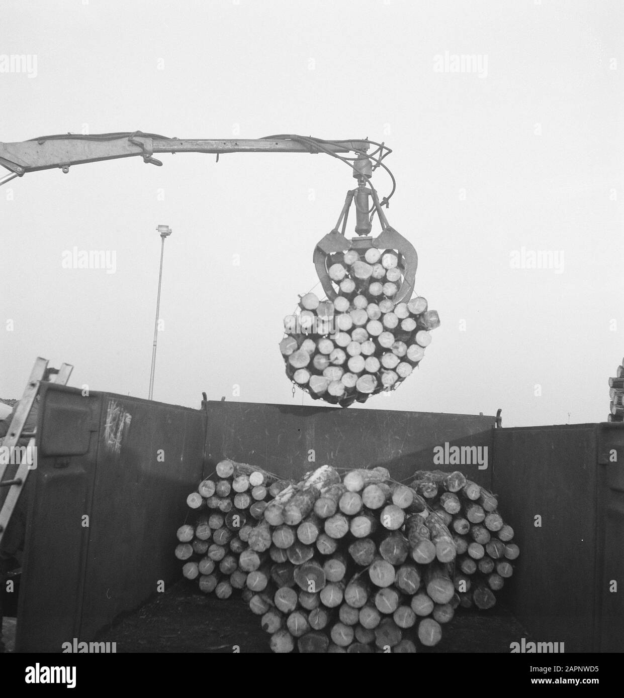 wood storage places, workers, tow trucks, logs, containers Date ...