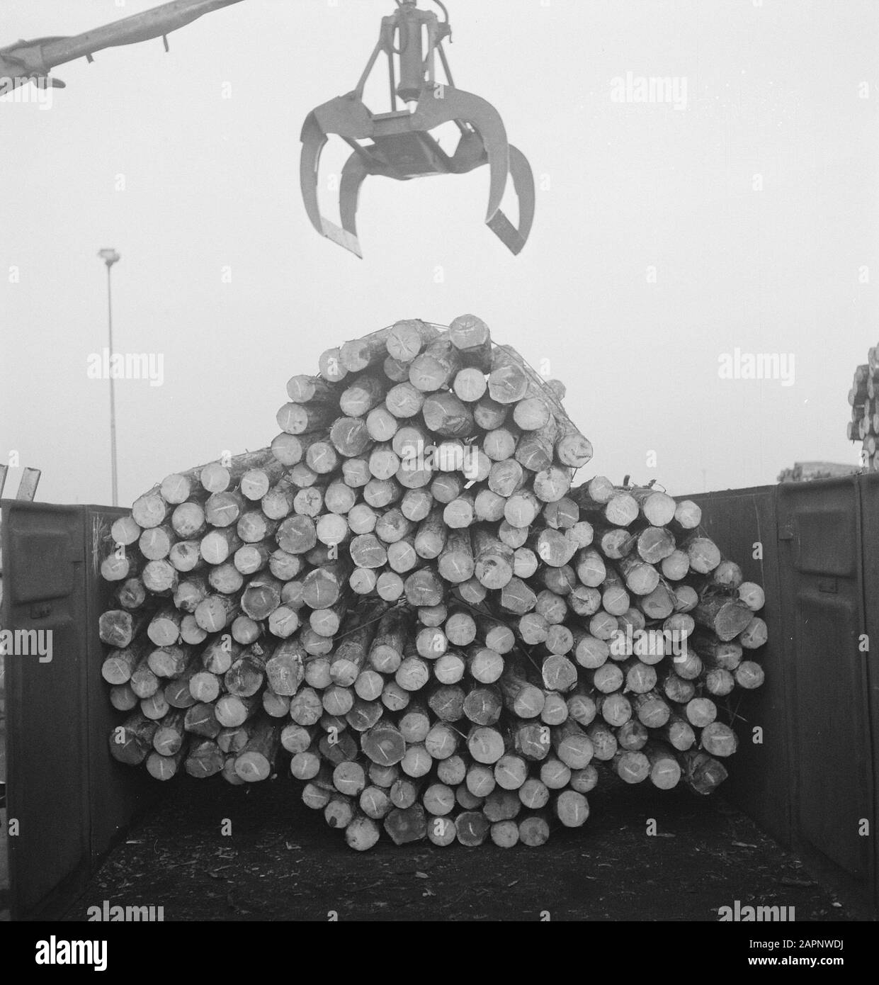 wood stores, tow trucks, logs, containers Date: undated Keywords: logs ...