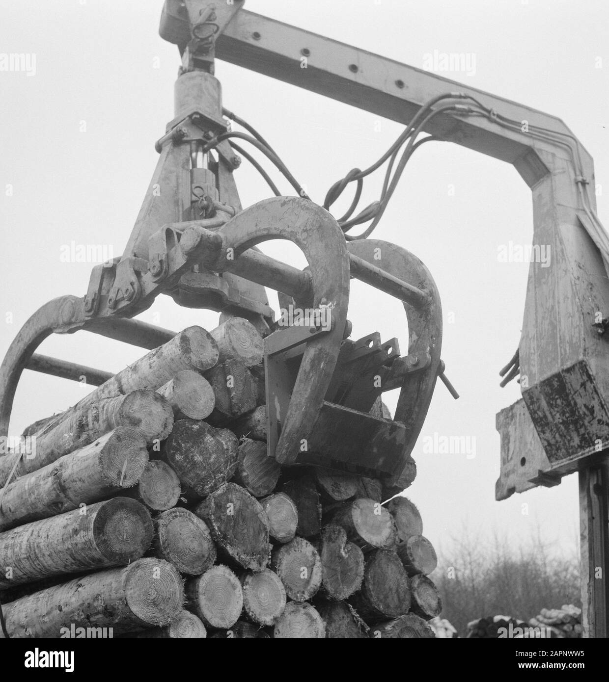 wood storage, hoist work, logs Date: undated Keywords: logs, wood ...
