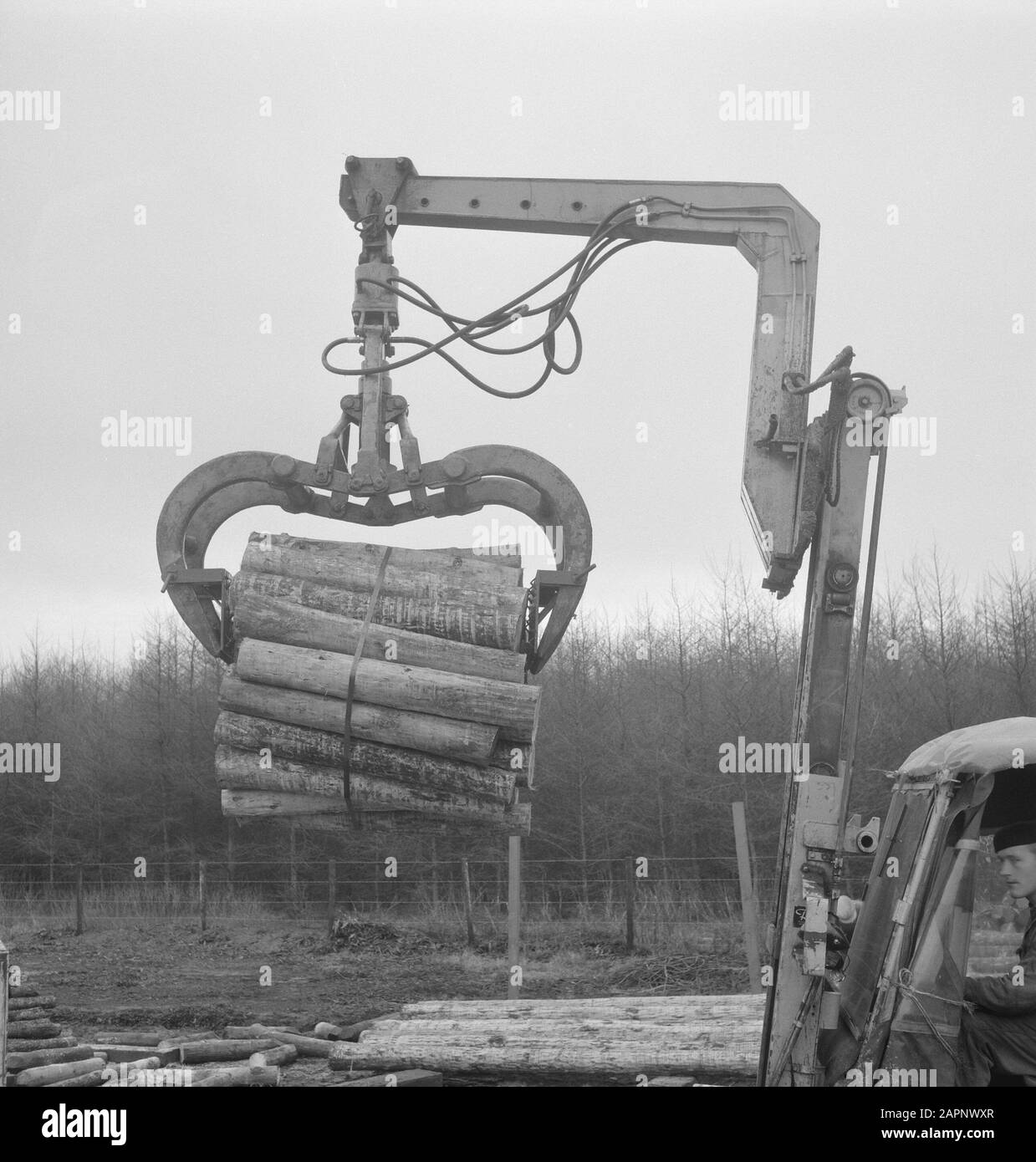 wood storage, hoist work, logs Date: undated Keywords: logs, wood ...