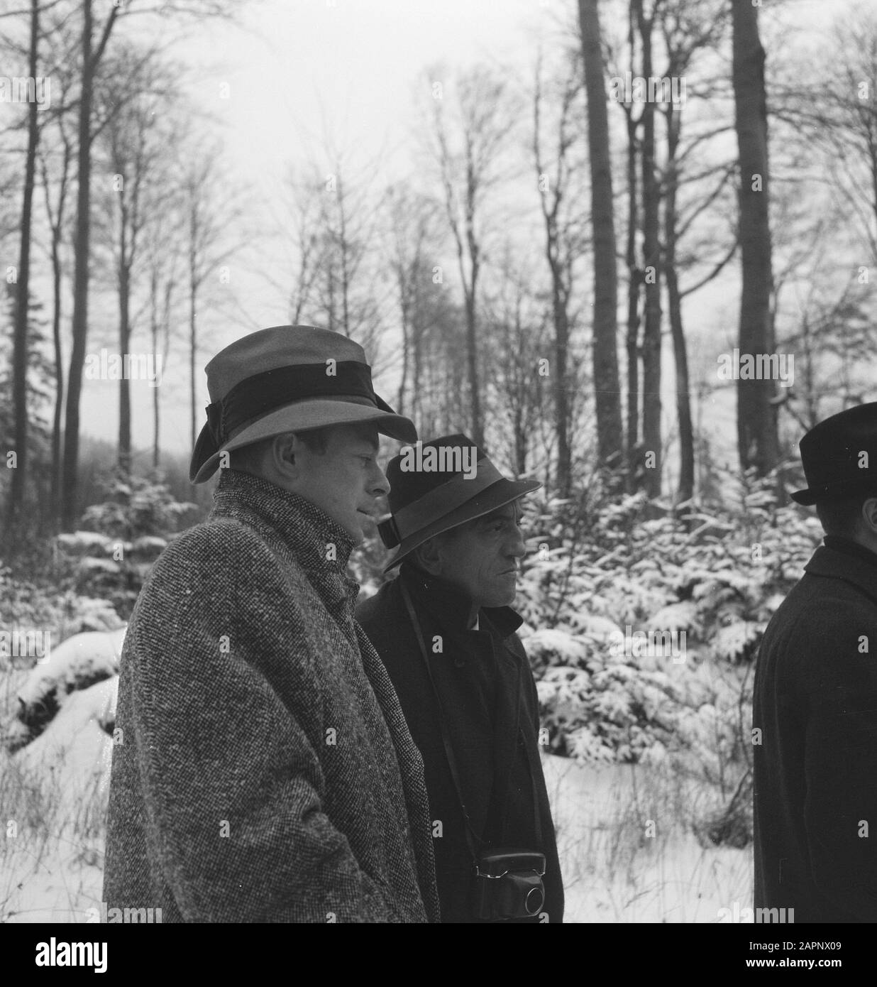 Pruning tree winter Black and White Stock Photos & Images - Alamy