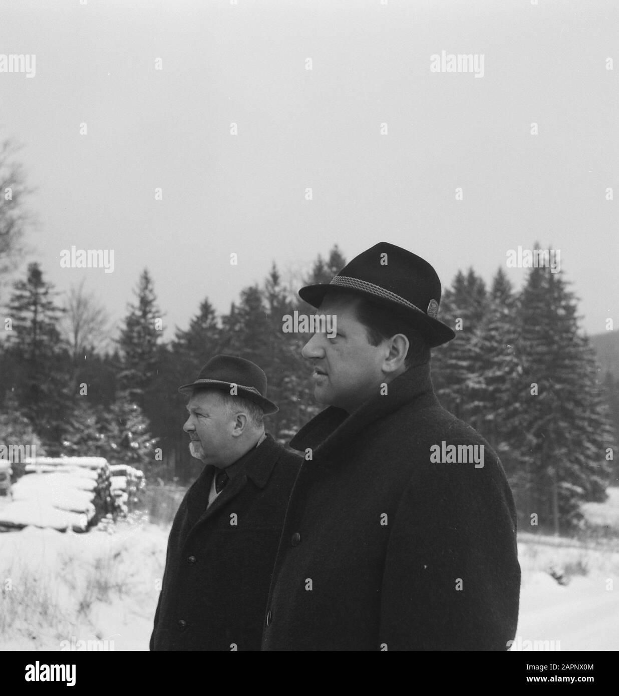 Trees snowflakes Black and White Stock Photos & Images - Alamy