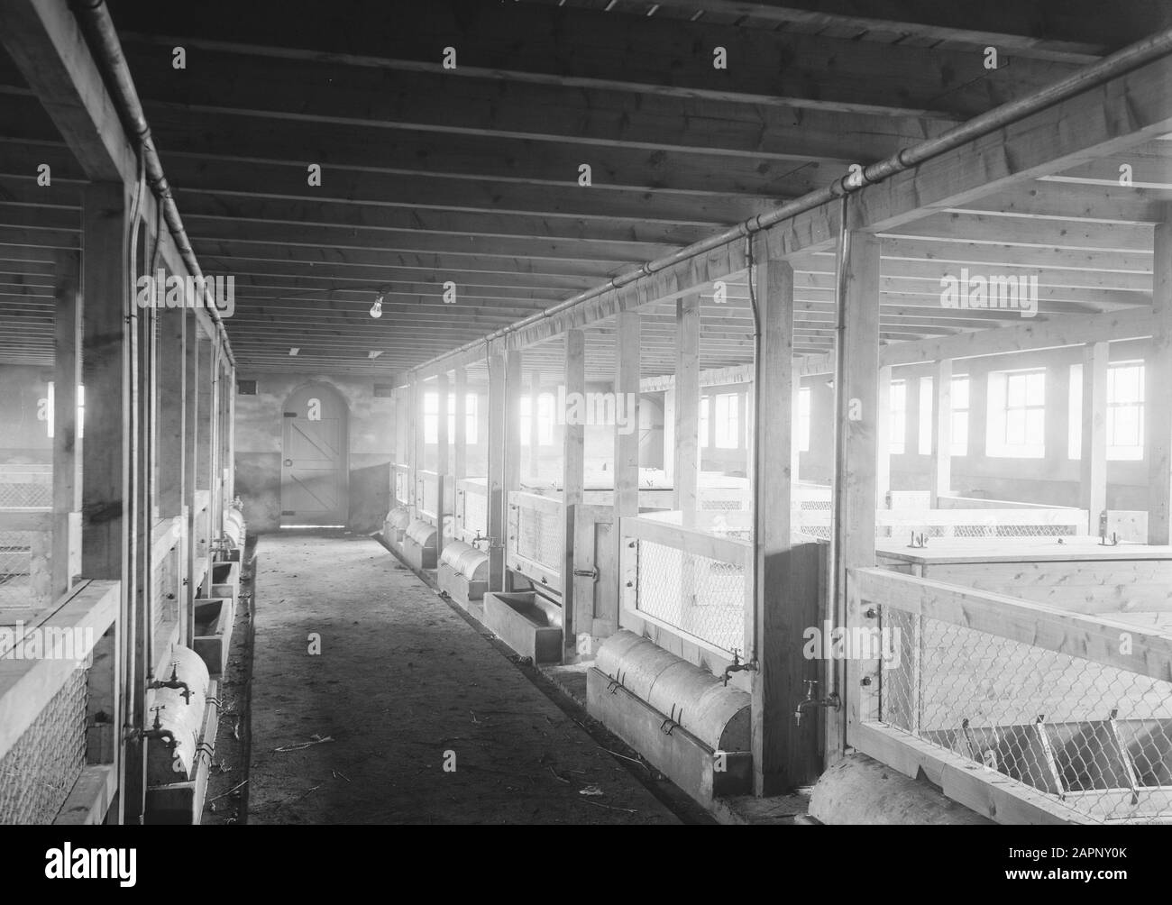 Pig stables hi-res stock photography and images - Alamy