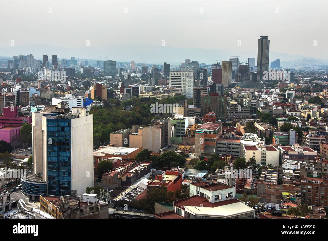 Skyline in Mexico City, view from the rooftop building. Paseo de la ...