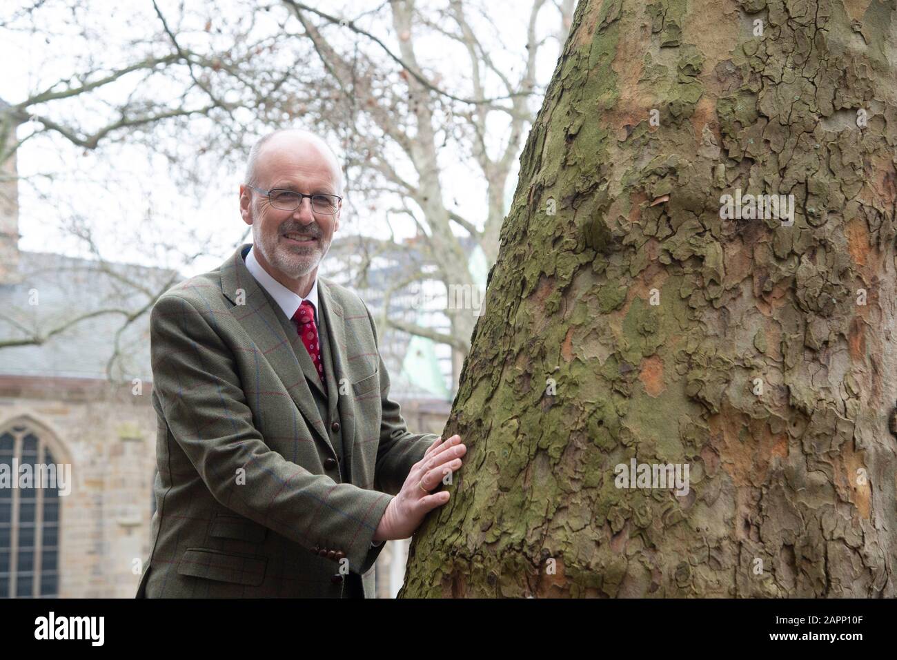 Wohlleben tree hi-res stock photography and images - Alamy