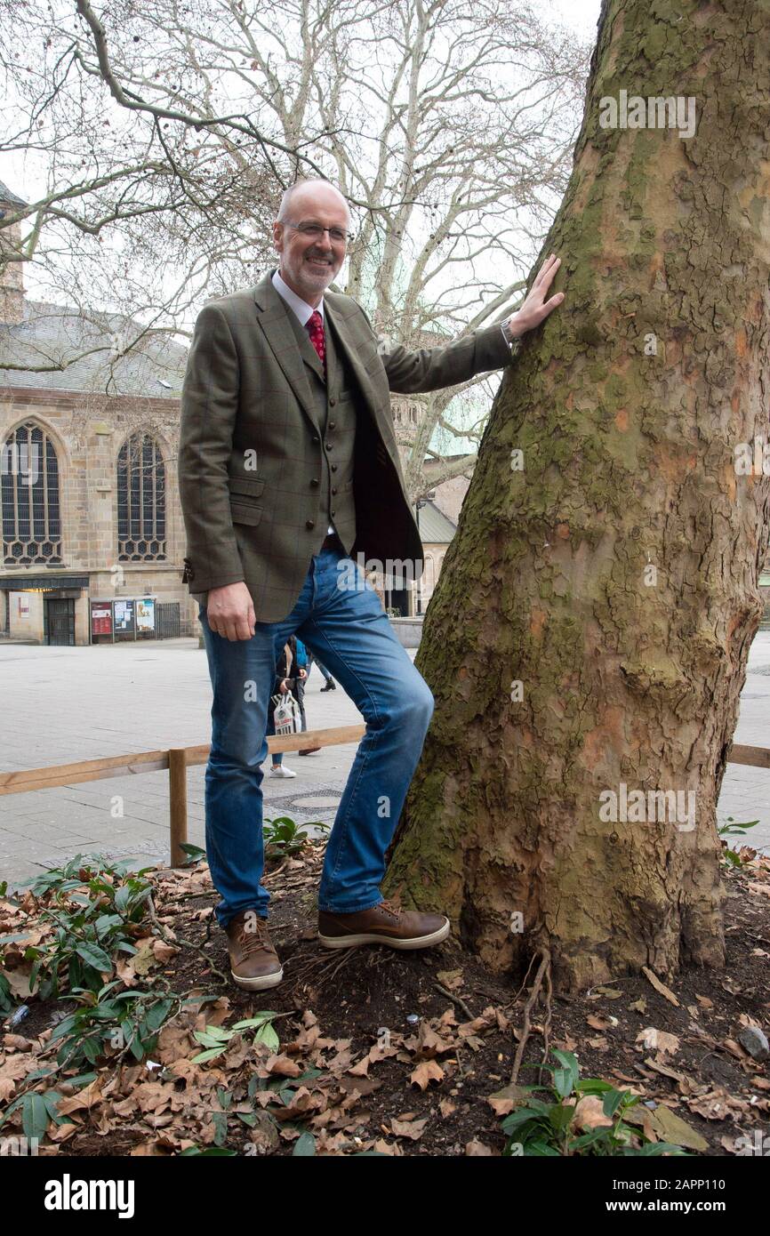 Wohlleben tree hi-res stock photography and images - Alamy