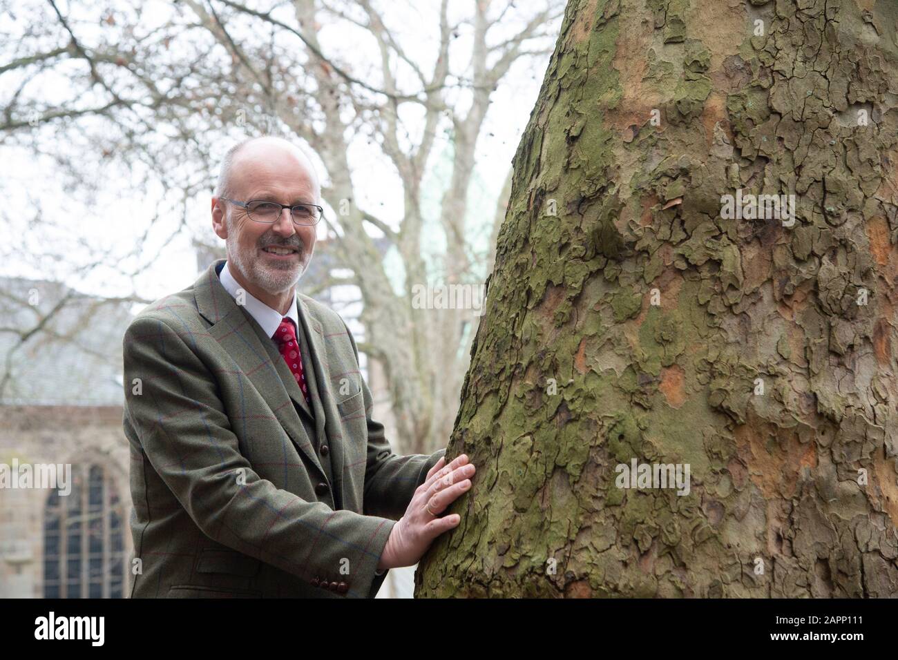 Wohlleben tree hi-res stock photography and images - Alamy