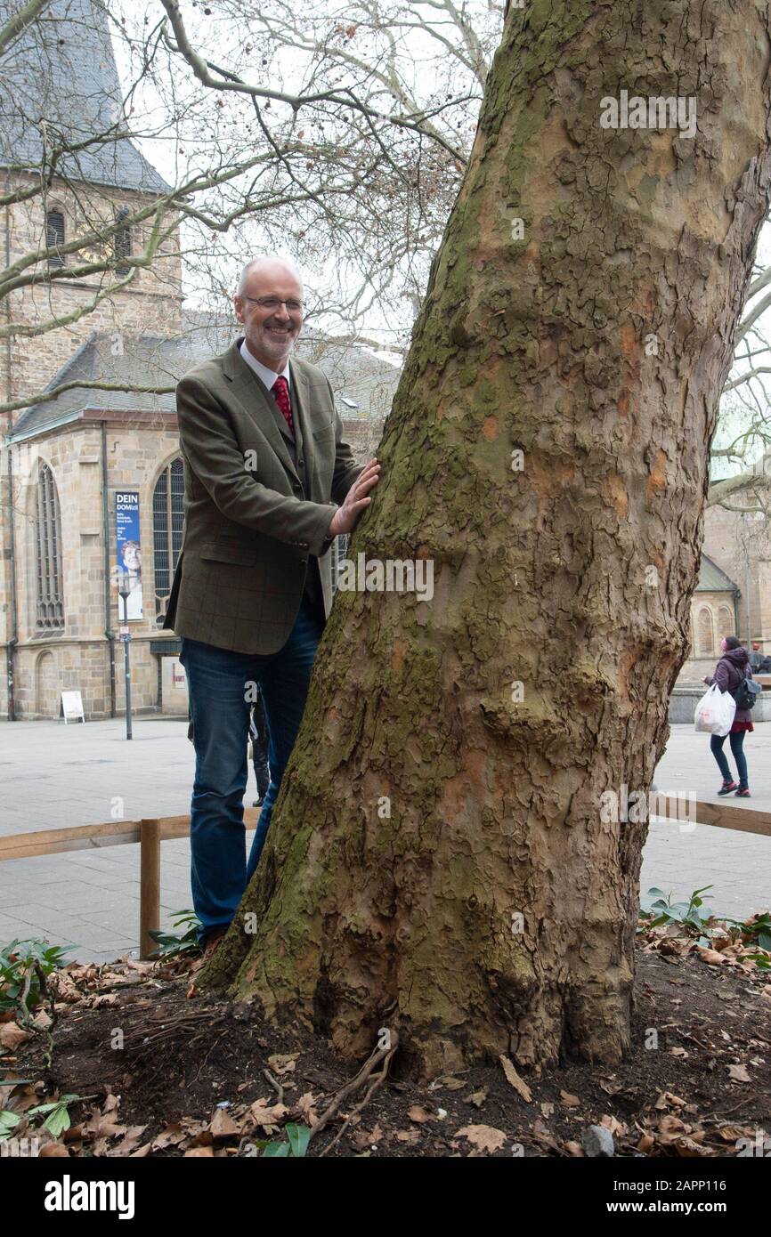 Wohlleben tree hi-res stock photography and images - Alamy