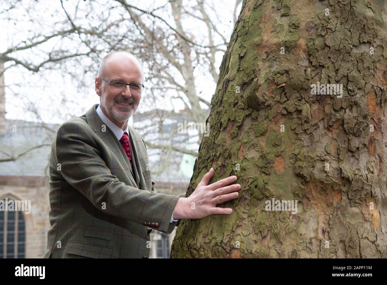 Wohlleben tree hi-res stock photography and images - Alamy