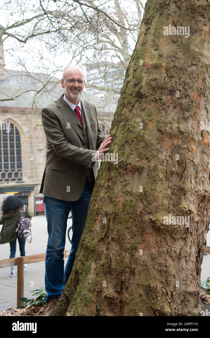 Wohlleben tree hi-res stock photography and images - Alamy