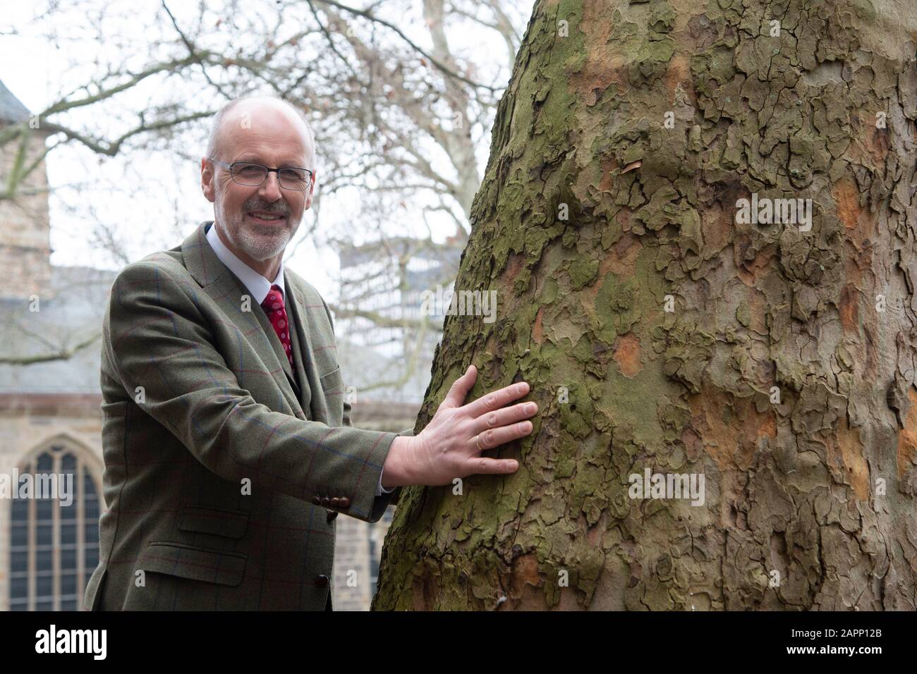Wohlleben tree hi-res stock photography and images - Alamy