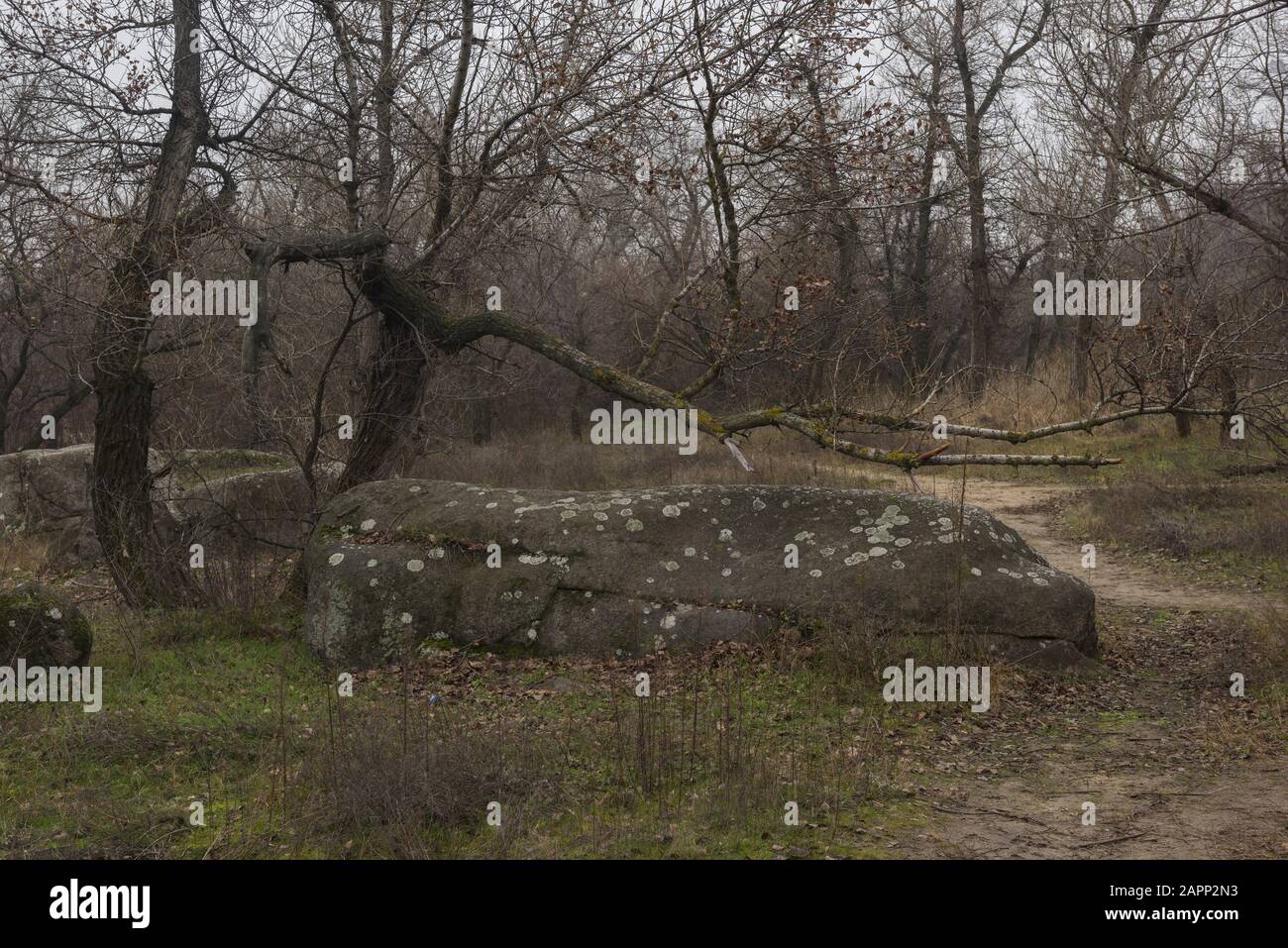 Autumn landscape, Khortytsya National Park, Khortitsa island, Ukraine ...