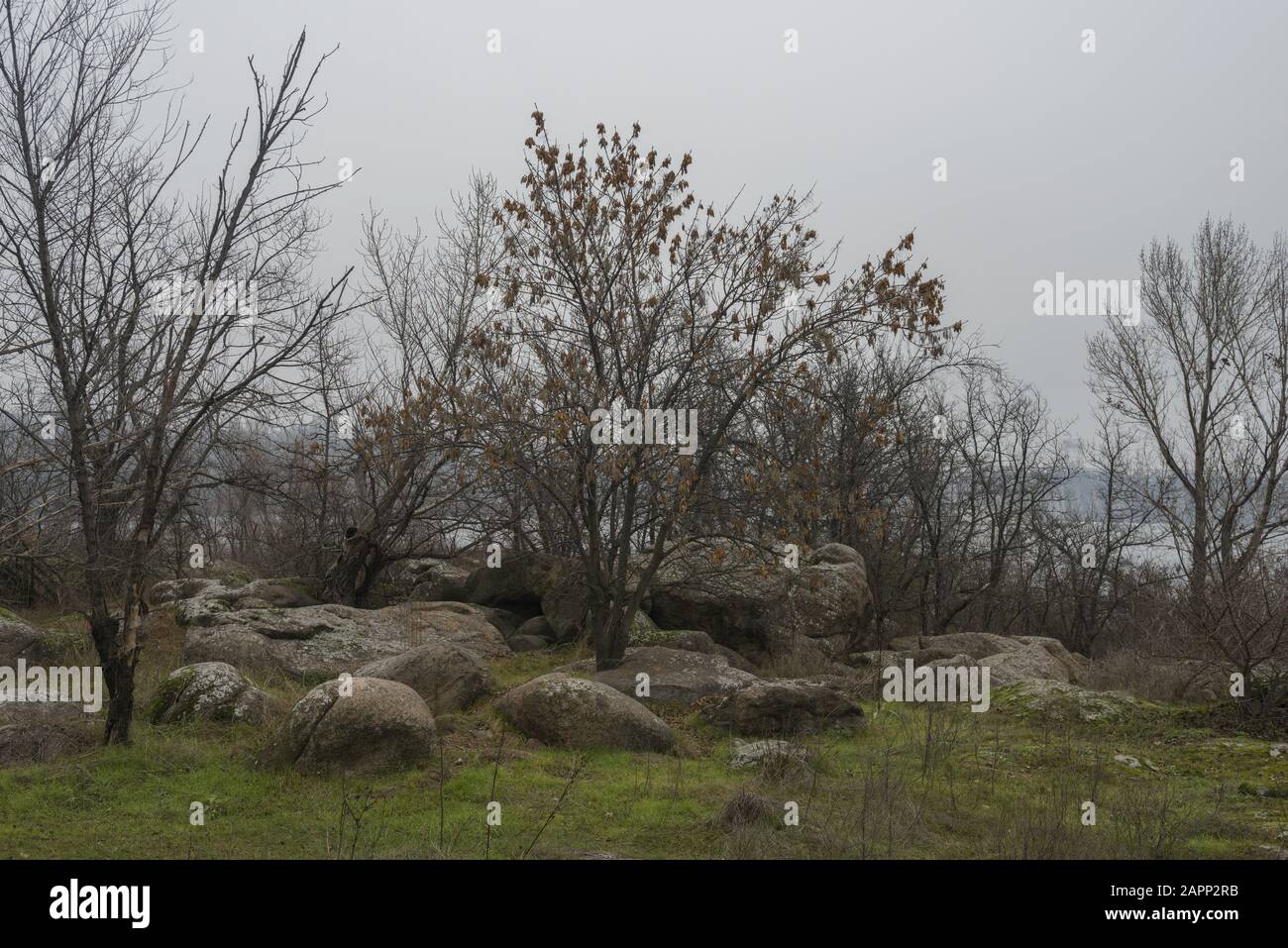 Chortitza hi-res stock photography and images - Alamy