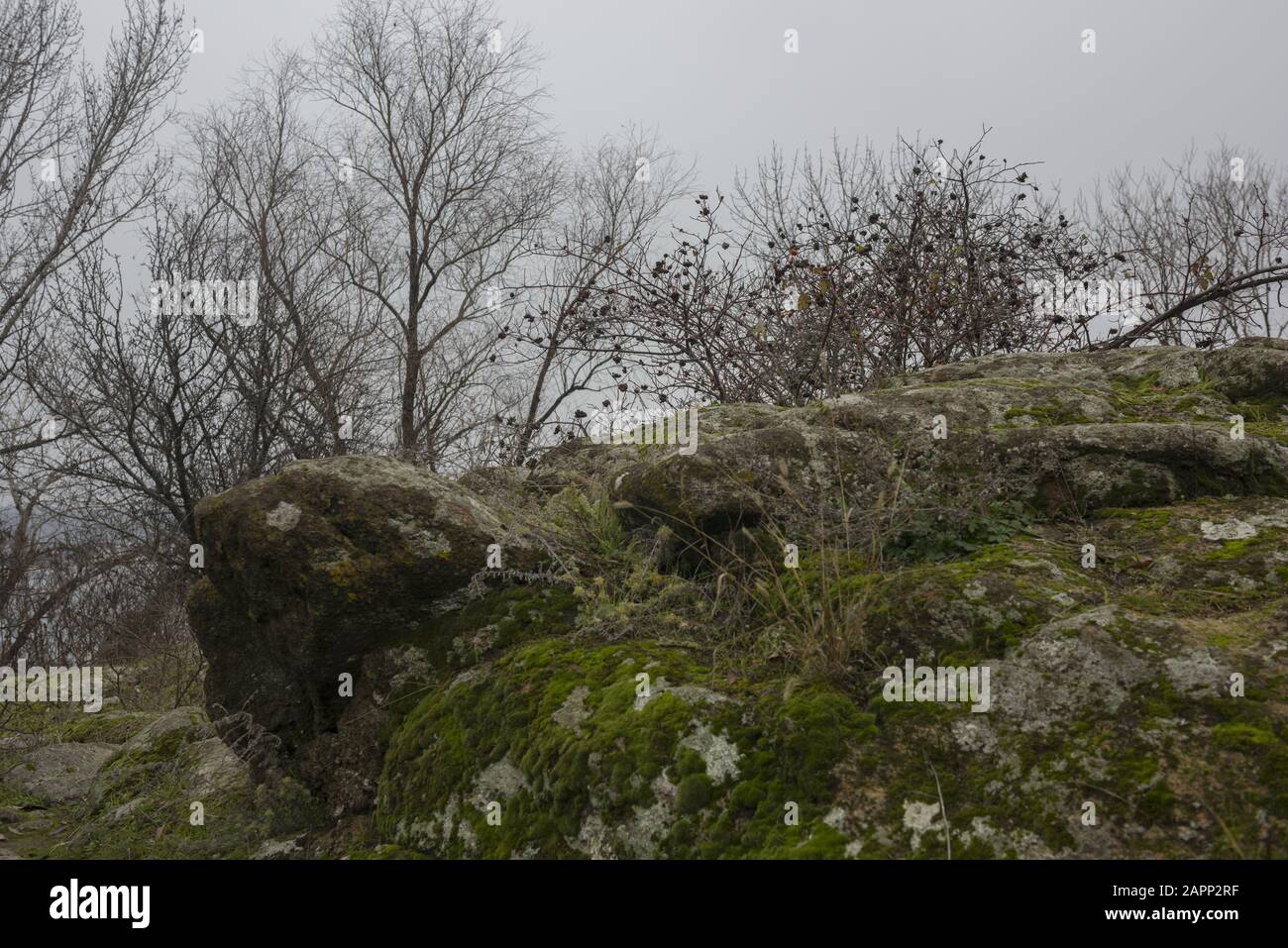 Chortitza hi-res stock photography and images - Alamy