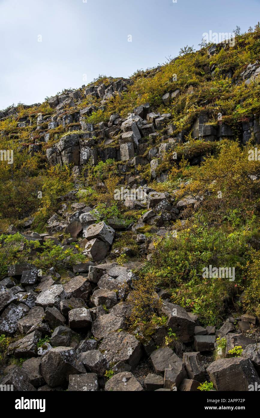 The Basalt rocks at Vik beach Stock Photo - Alamy