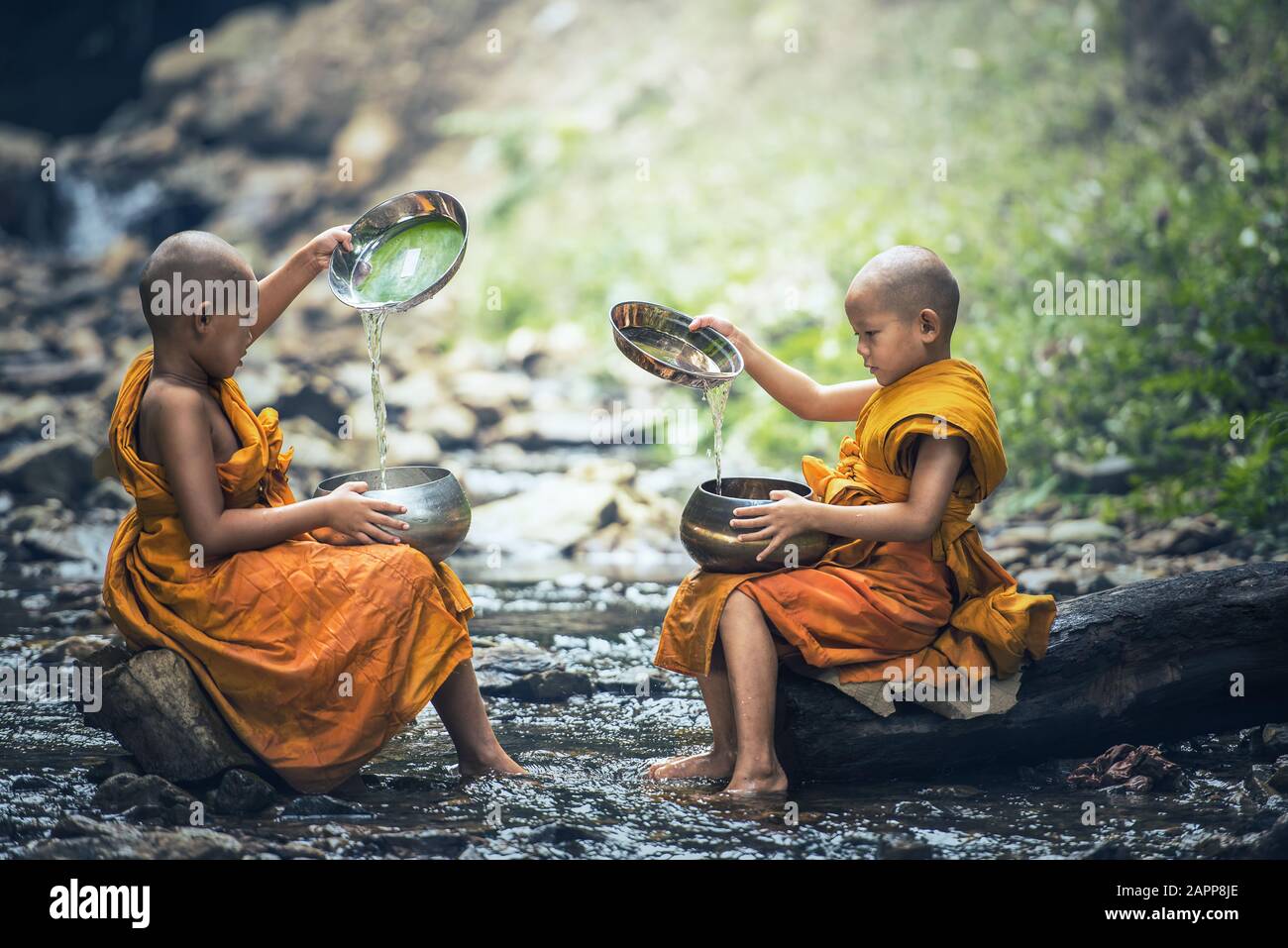Novice Monk in Thailand Stock Photo - Alamy