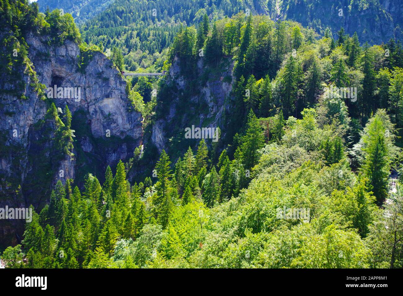 A panorama of a forested valley in the Bavarian Alps. The rocky ...