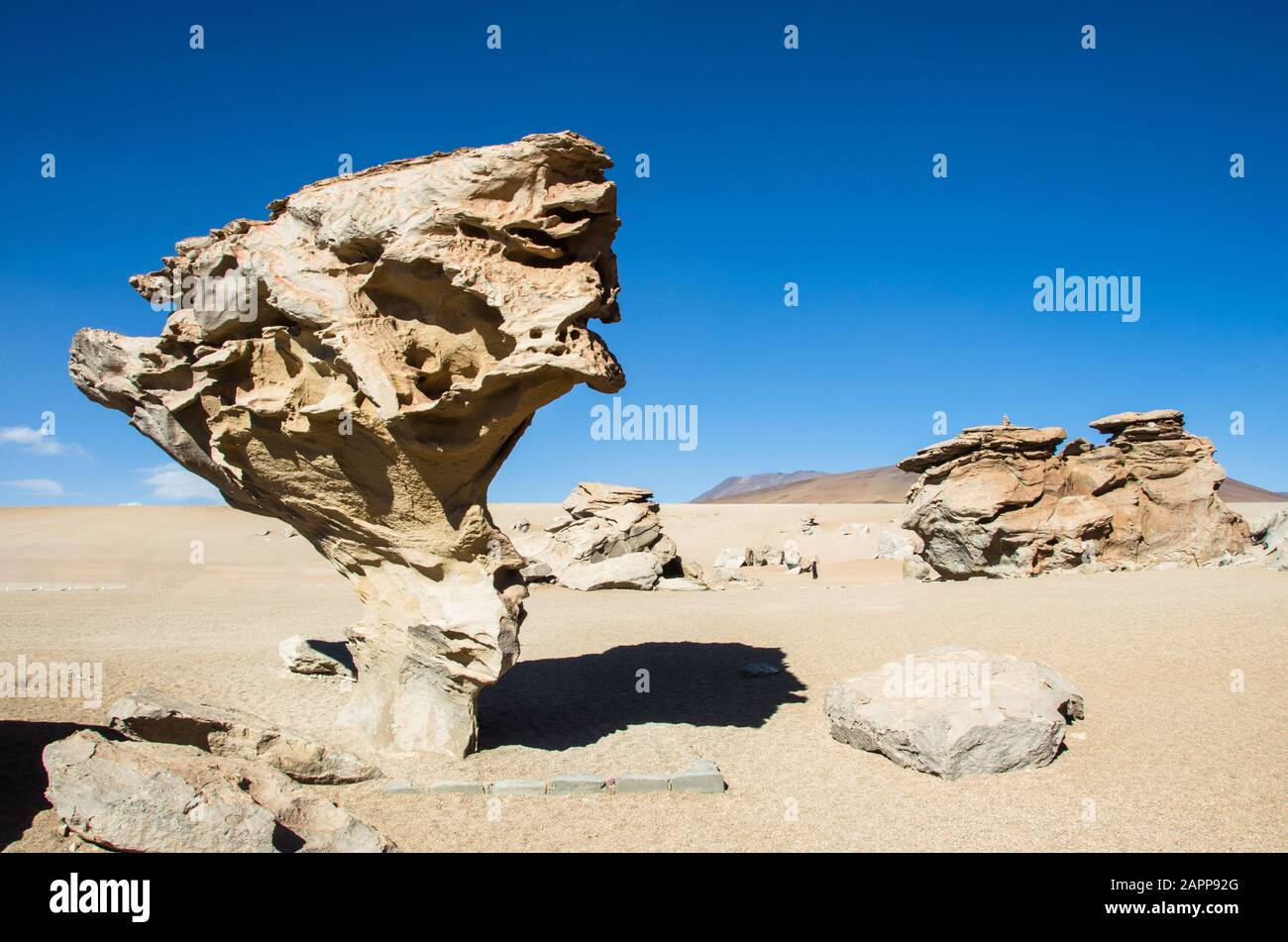 Stone tree Arbol de Piedra on the plateau Altiplano, Bolivia Stock ...