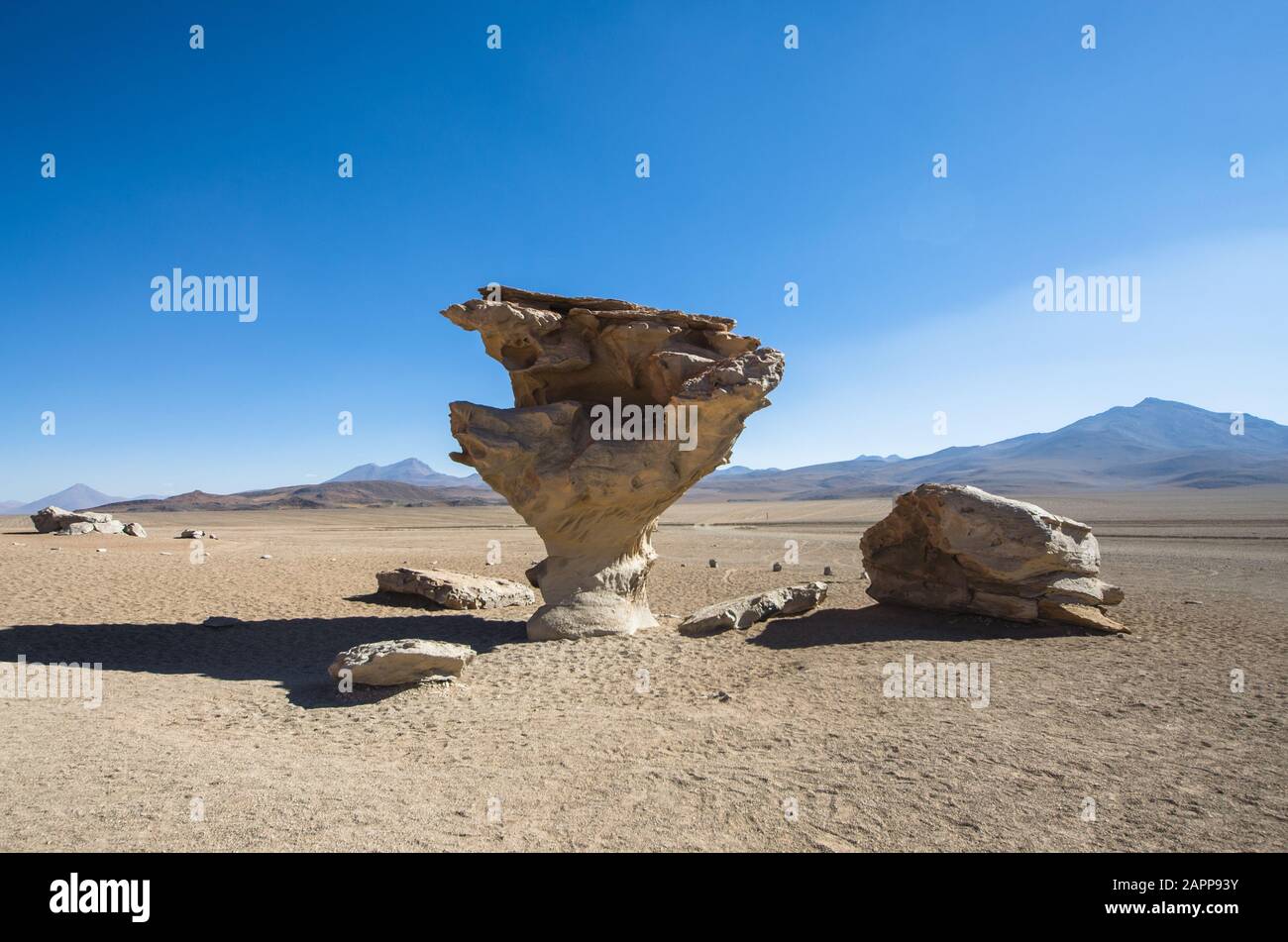 Stone tree Arbol de Piedra on the plateau Altiplano, Bolivia Stock ...