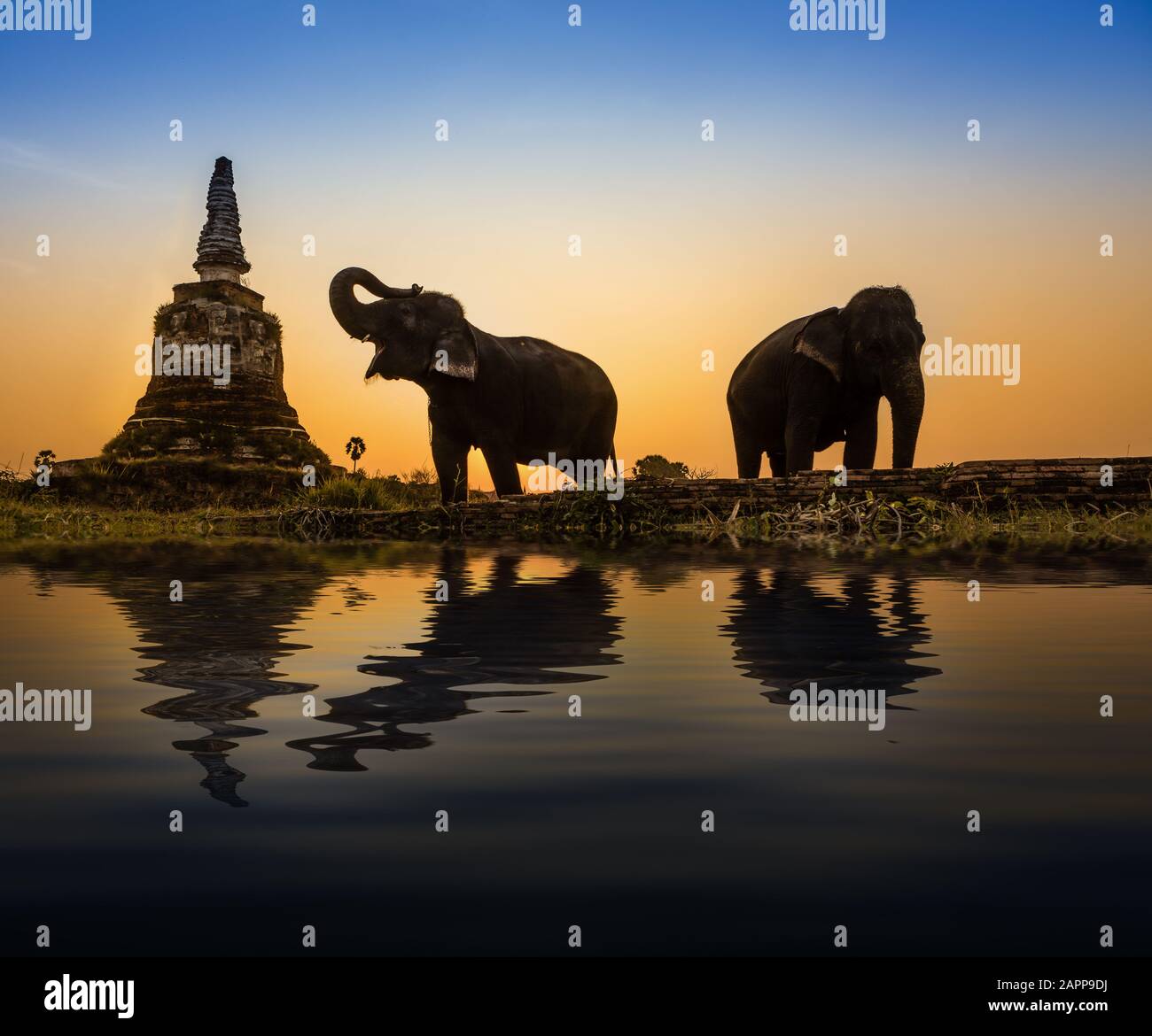 Sunset Thai countryside in thailand Stock Photo - Alamy