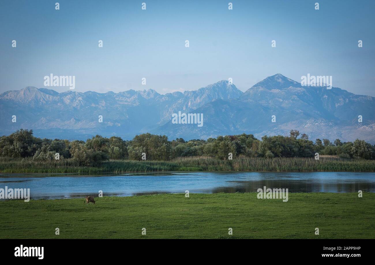 Albania lake skadar boat hi-res stock photography and images - Alamy