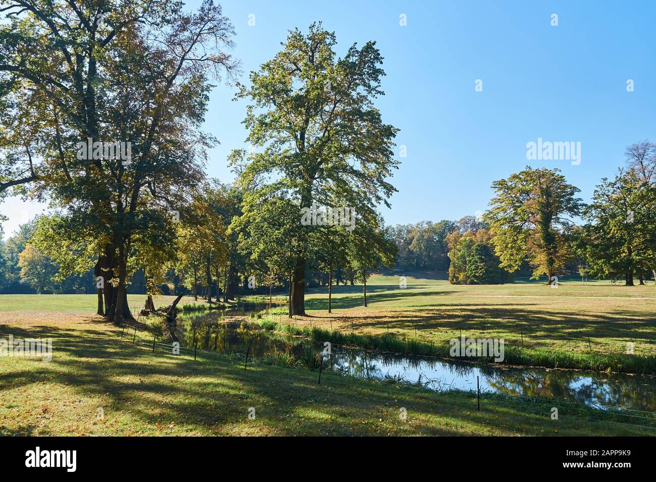 Muskauer park hi-res stock photography and images - Alamy