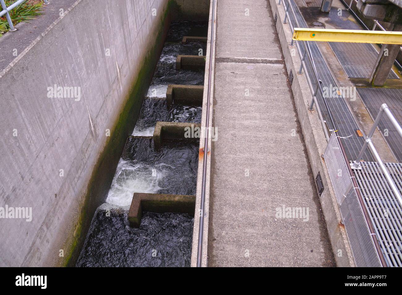 Way to spawning. A fish ladder, also known as a fishway, fish pass or ...