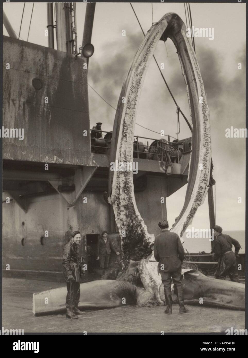 Fishing. Whaling Date: 1947 Location: Southern Polar Sea Keywords ...