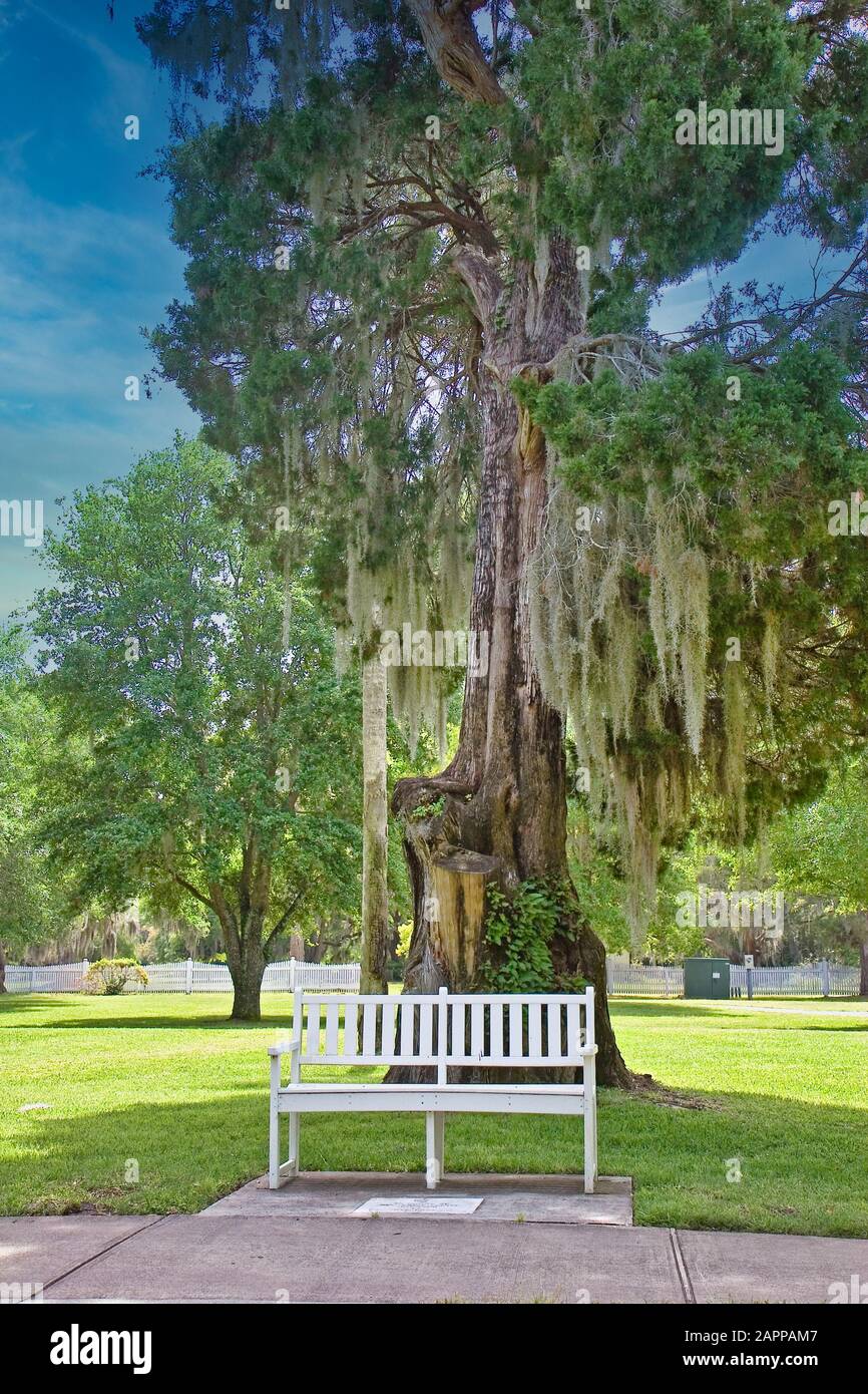 Wooden circular garden bench hi-res stock photography and images - Alamy