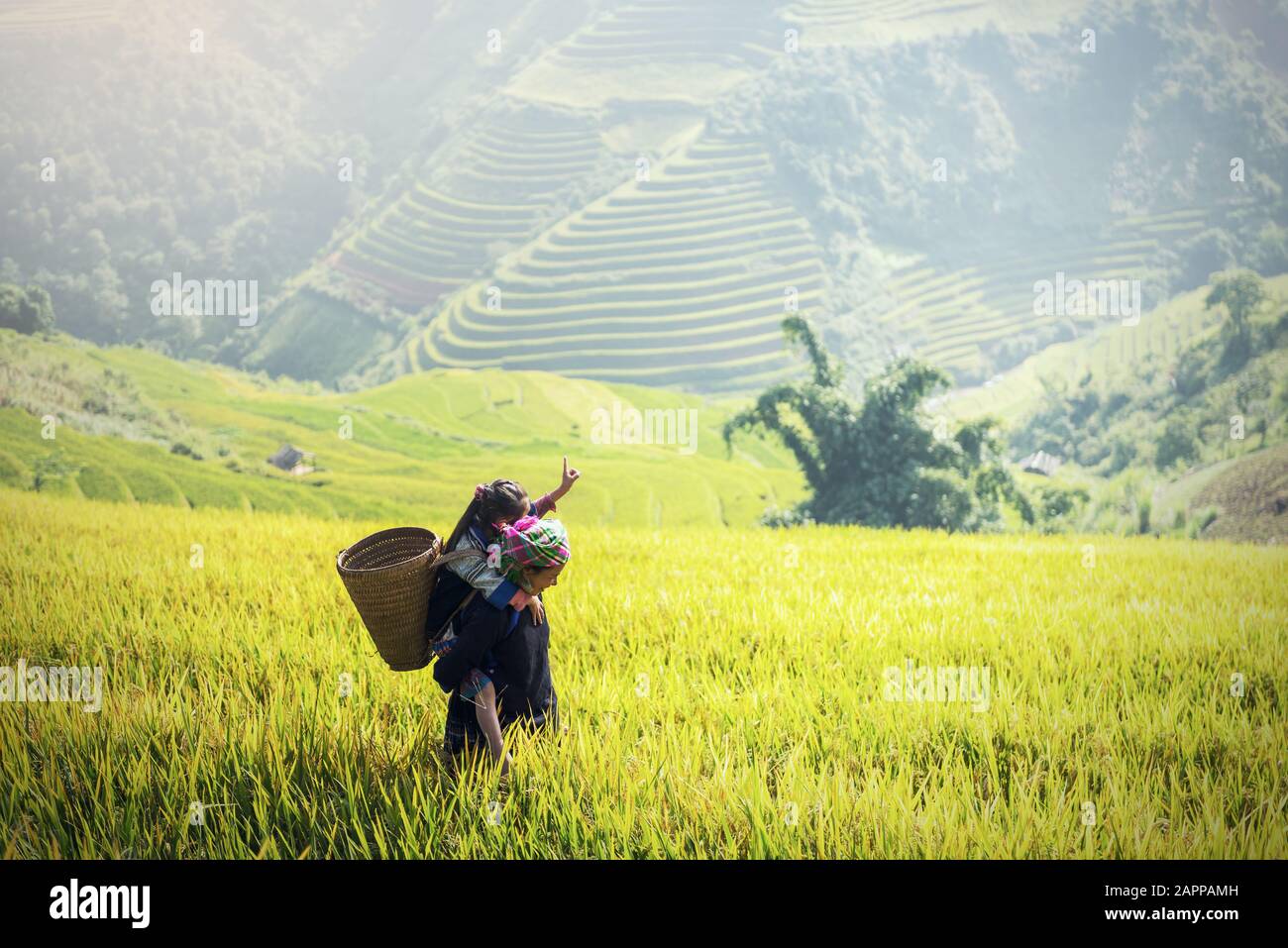 Mother and Daughter Hmong, working at Vietnam Rice fields on terraced ...