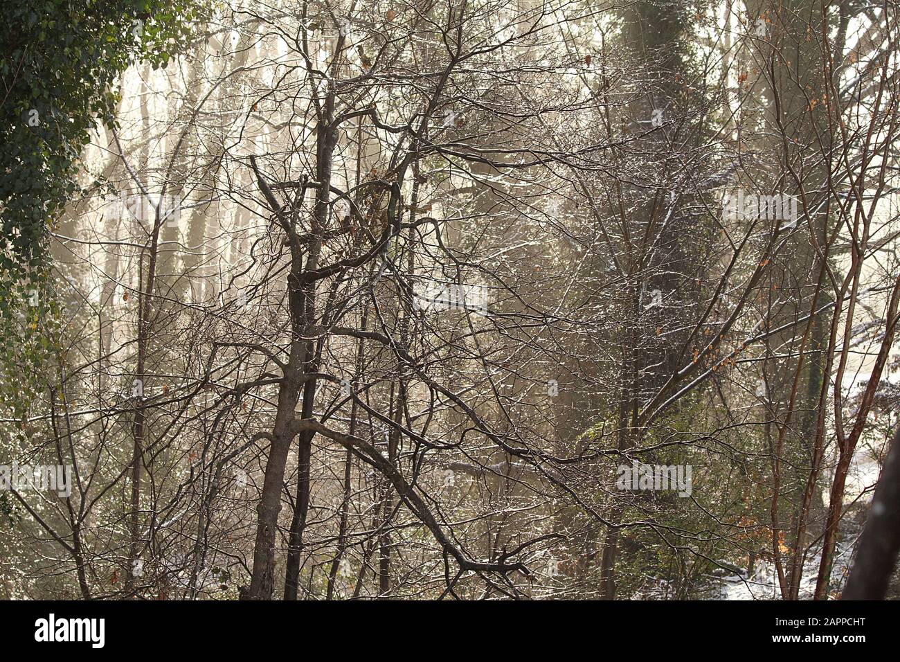 Moisture cycle hi-res stock photography and images - Alamy
