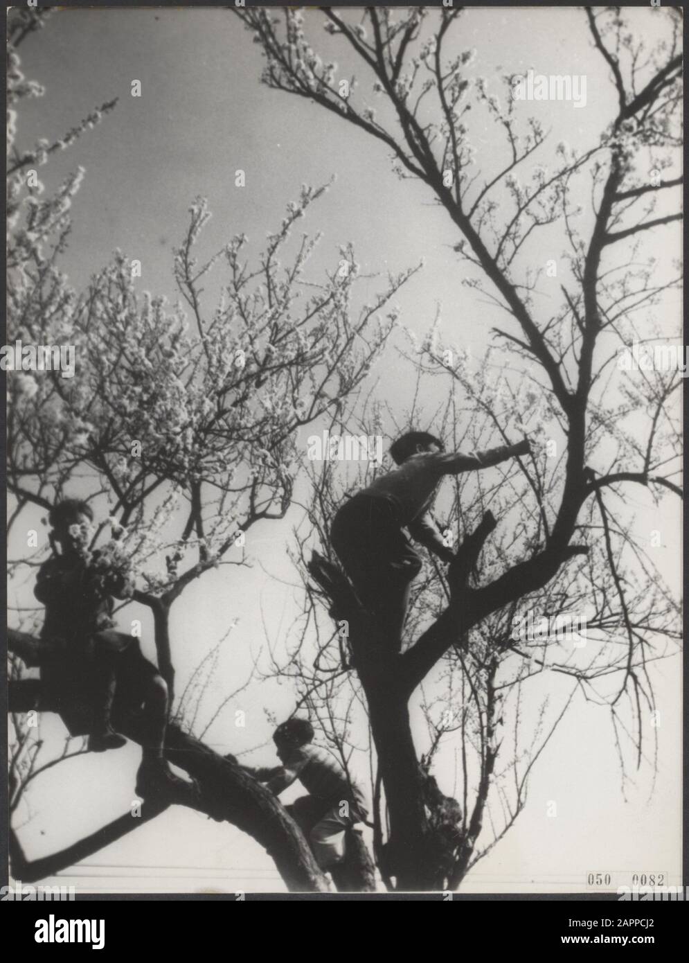 New army hi-res stock photography and images - Alamy