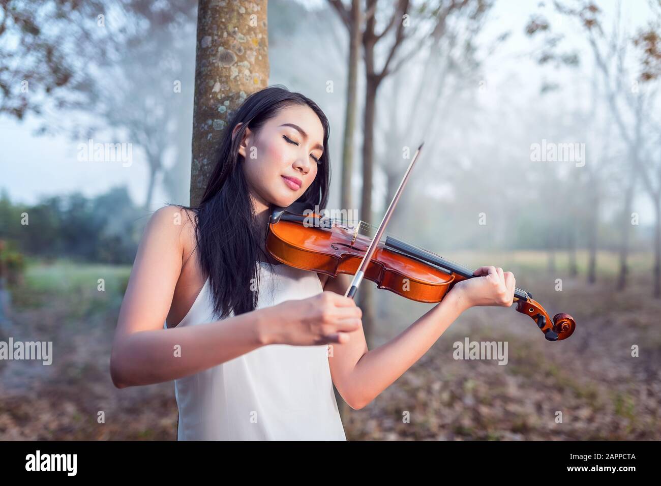 Portrait of woman dress in white long dress playing the violin, soft ...