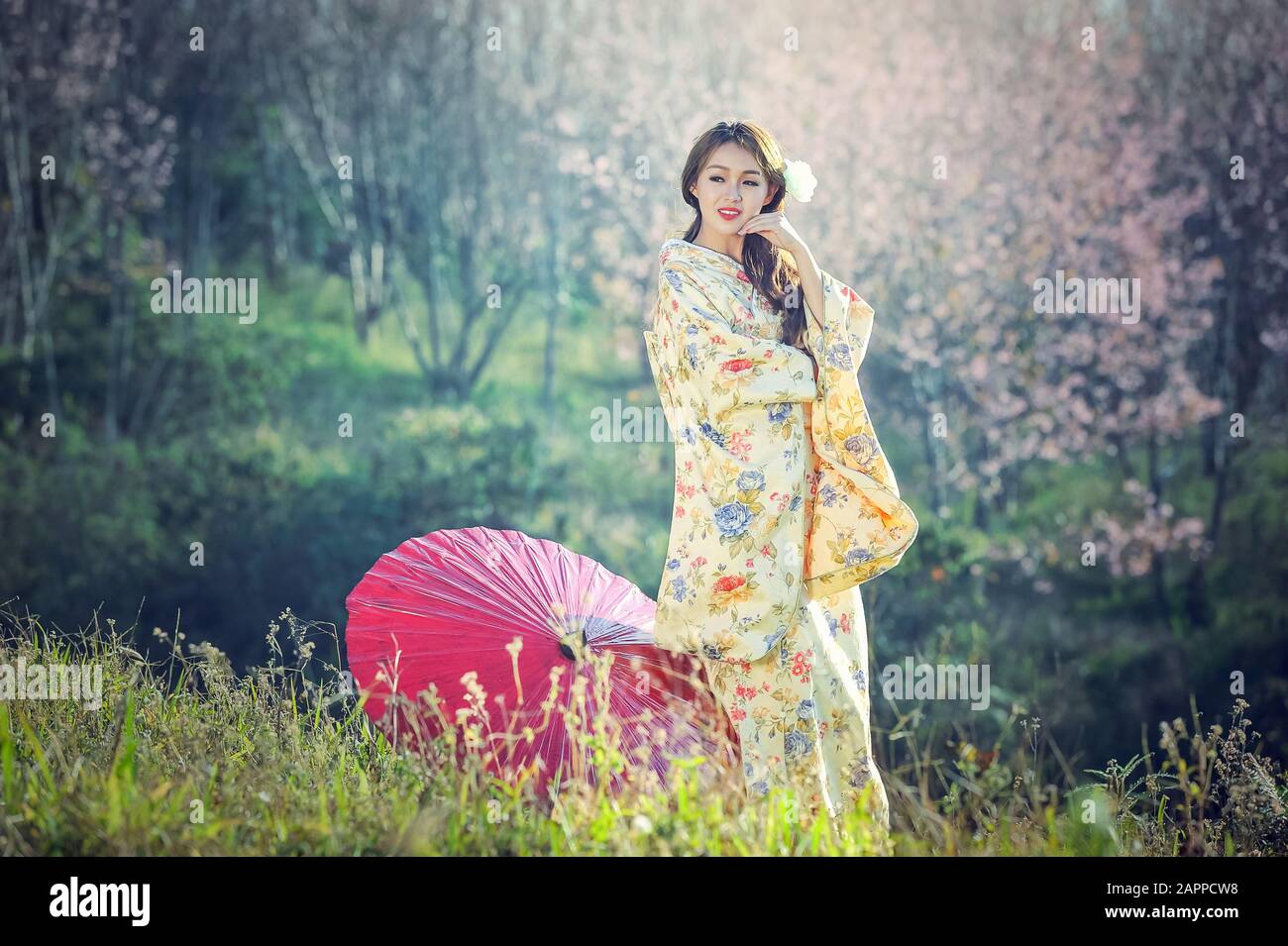 Asian women wearing traditional Japanese kimono Stock Photo - Alamy