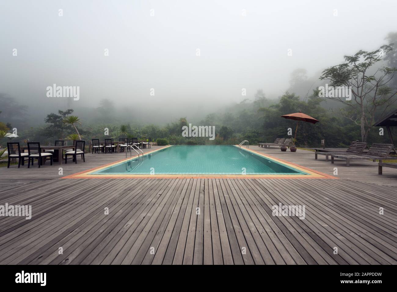 Infinity pool in forest hi-res stock photography and images - Alamy