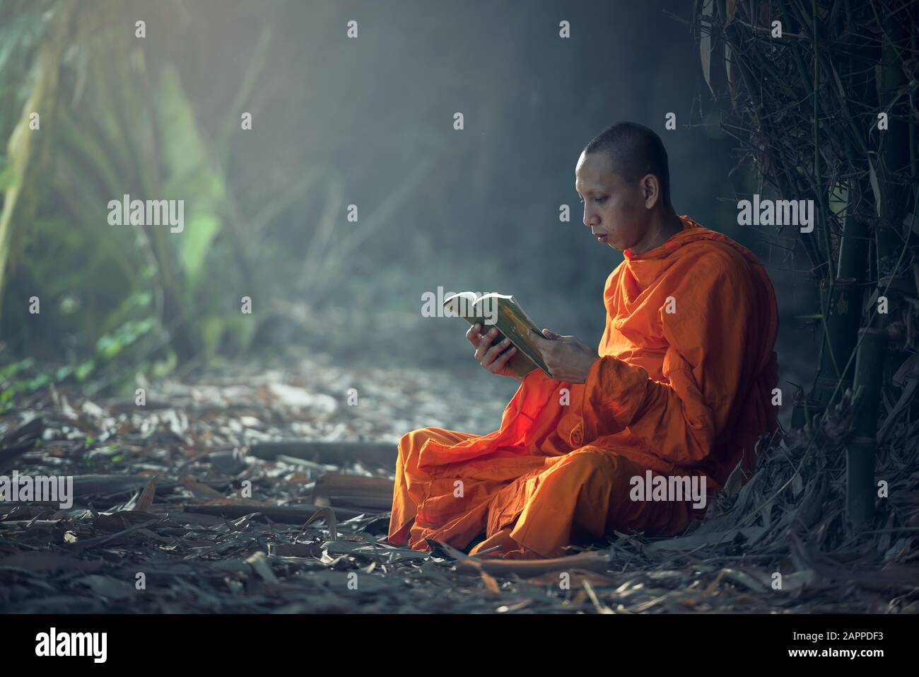 Monk reading book, Thailand Stock Photo - Alamy