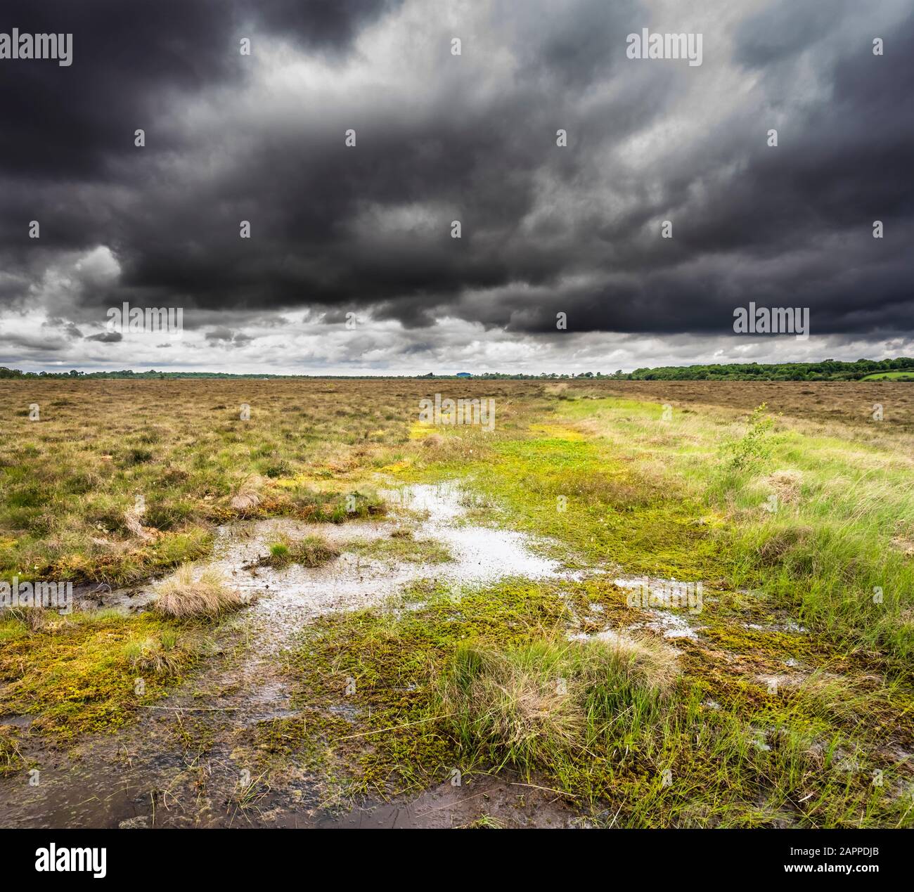Raised Bog Peat High Resolution Stock Photography and Images - Alamy