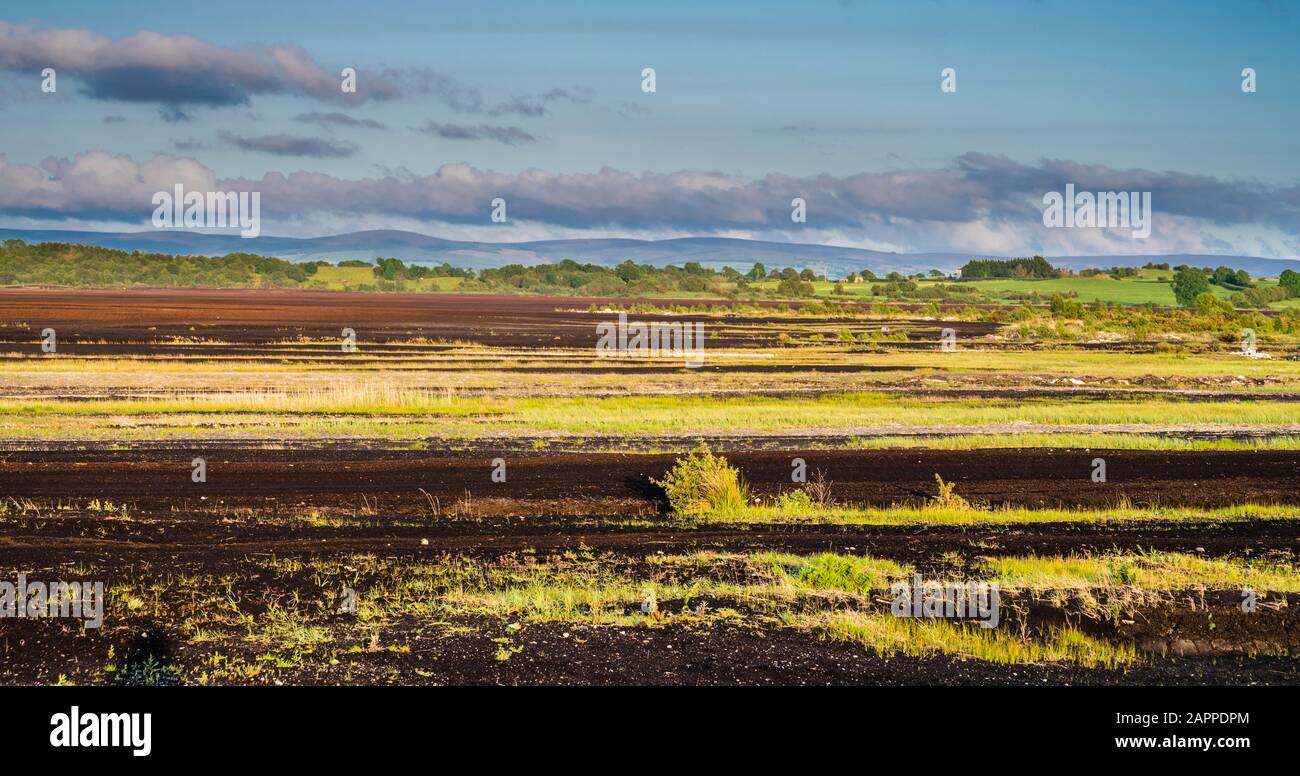 An industrial Bord na Mona cut away bog used for peat extraction near ...