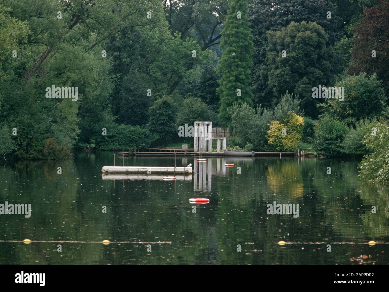 Swimming pond o Hampstead Heath, North London, England, UK Stock Photo ...
